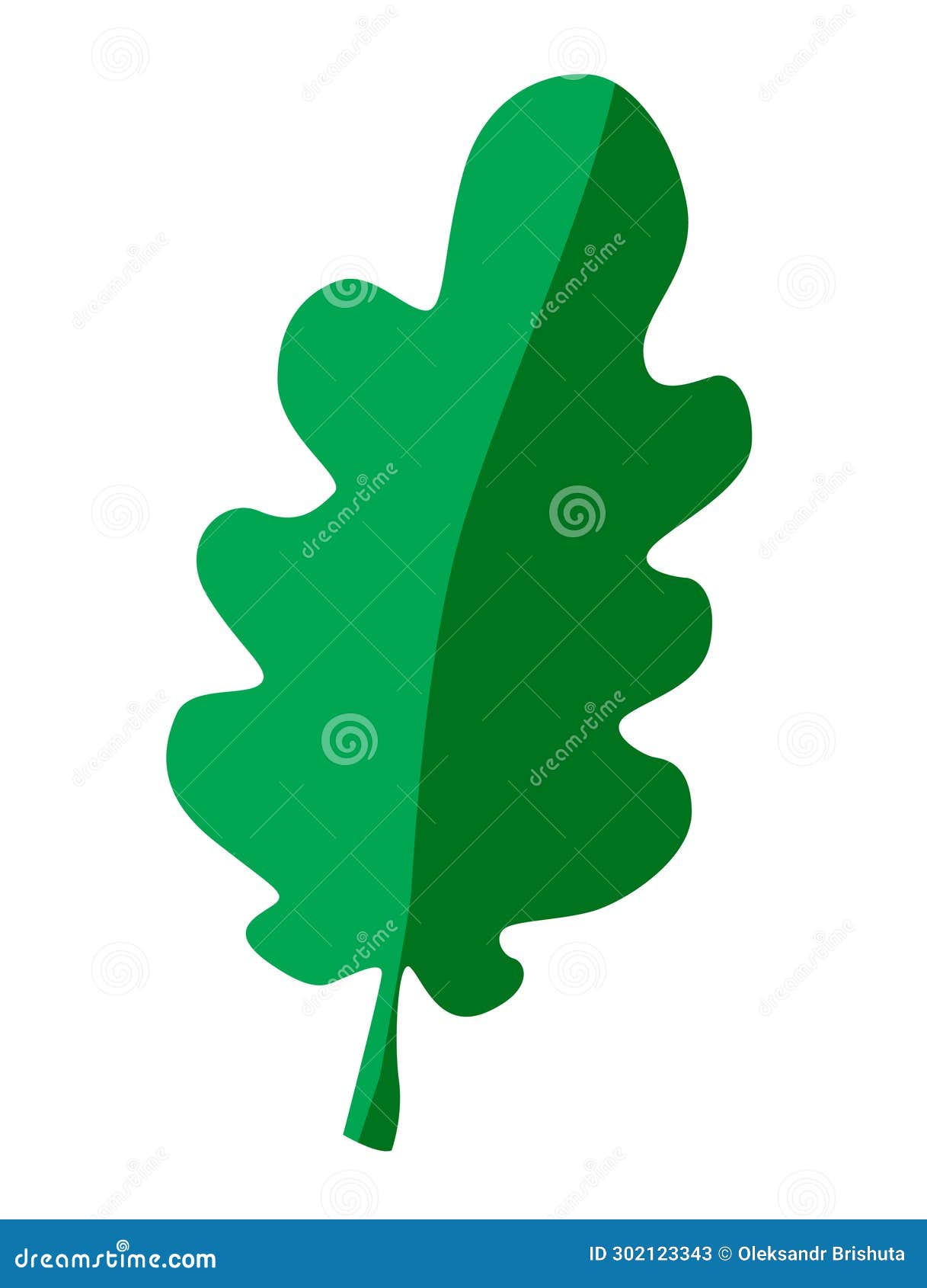 Oak Leaf. Stylized Drawing of an Oak Leaf. Isolated Stock Vector ...
