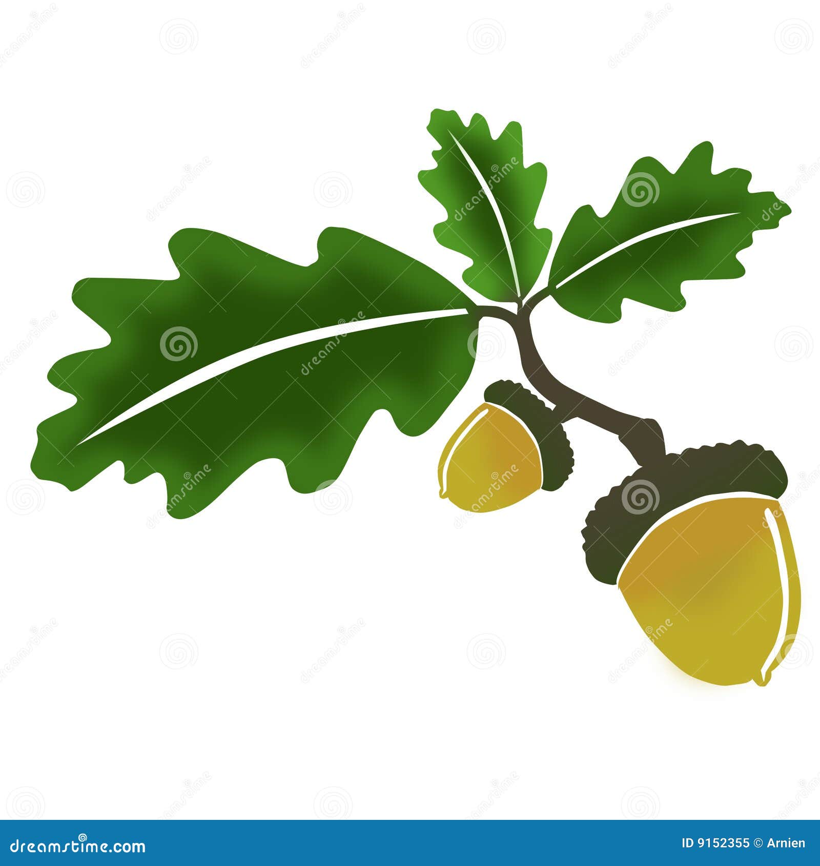 Oak Leaf Acorn Clipart Oak Leaf Acorn Clipart