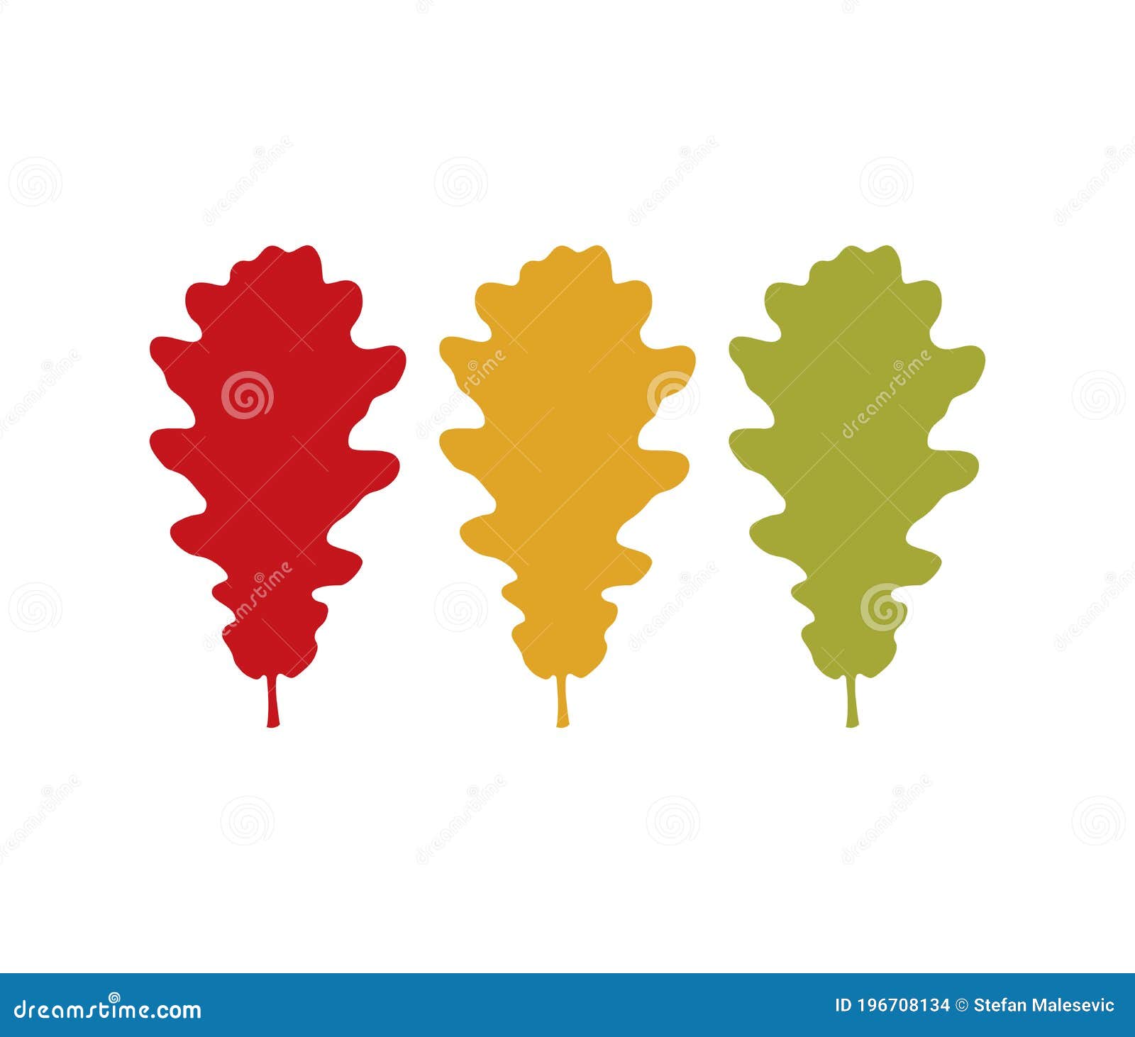 Oak leaves set stock vector. Illustration of growth - 196708134