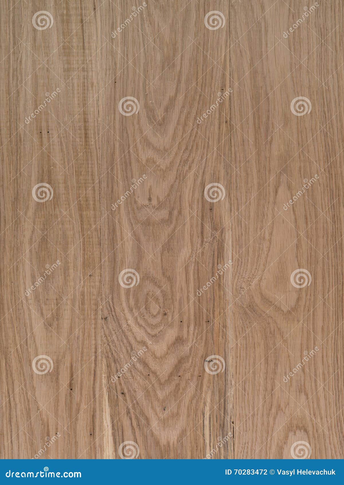 Oak stock photo. Image of brown, board, veneer, material - 70283472