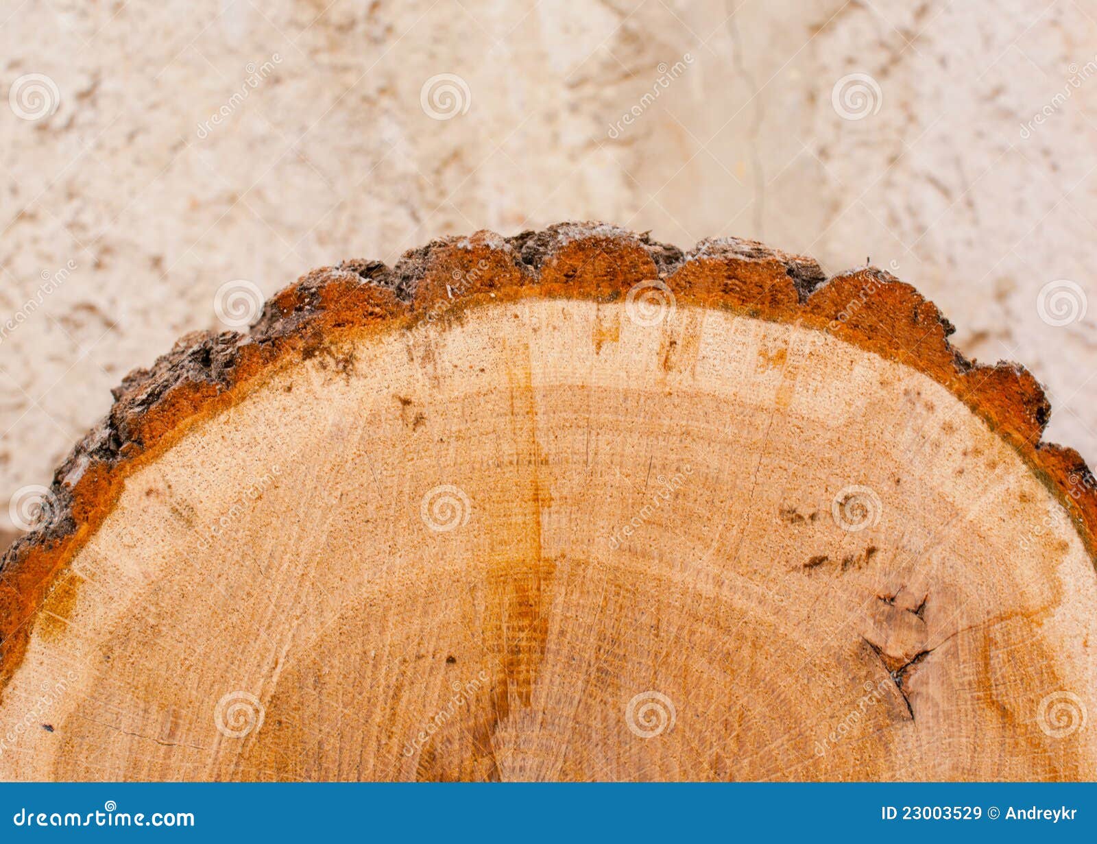 Oak log with brown bark stock image. Image of timber - 23003529
