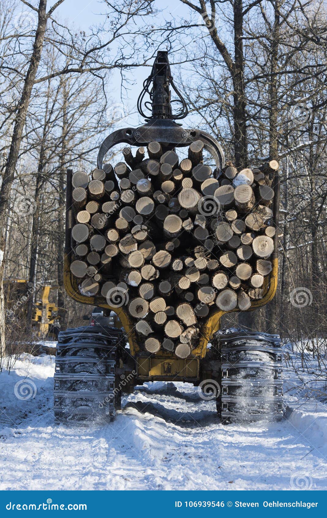 Logging in a Central Minnesota Forest Stock Photo - Image of skidding ...