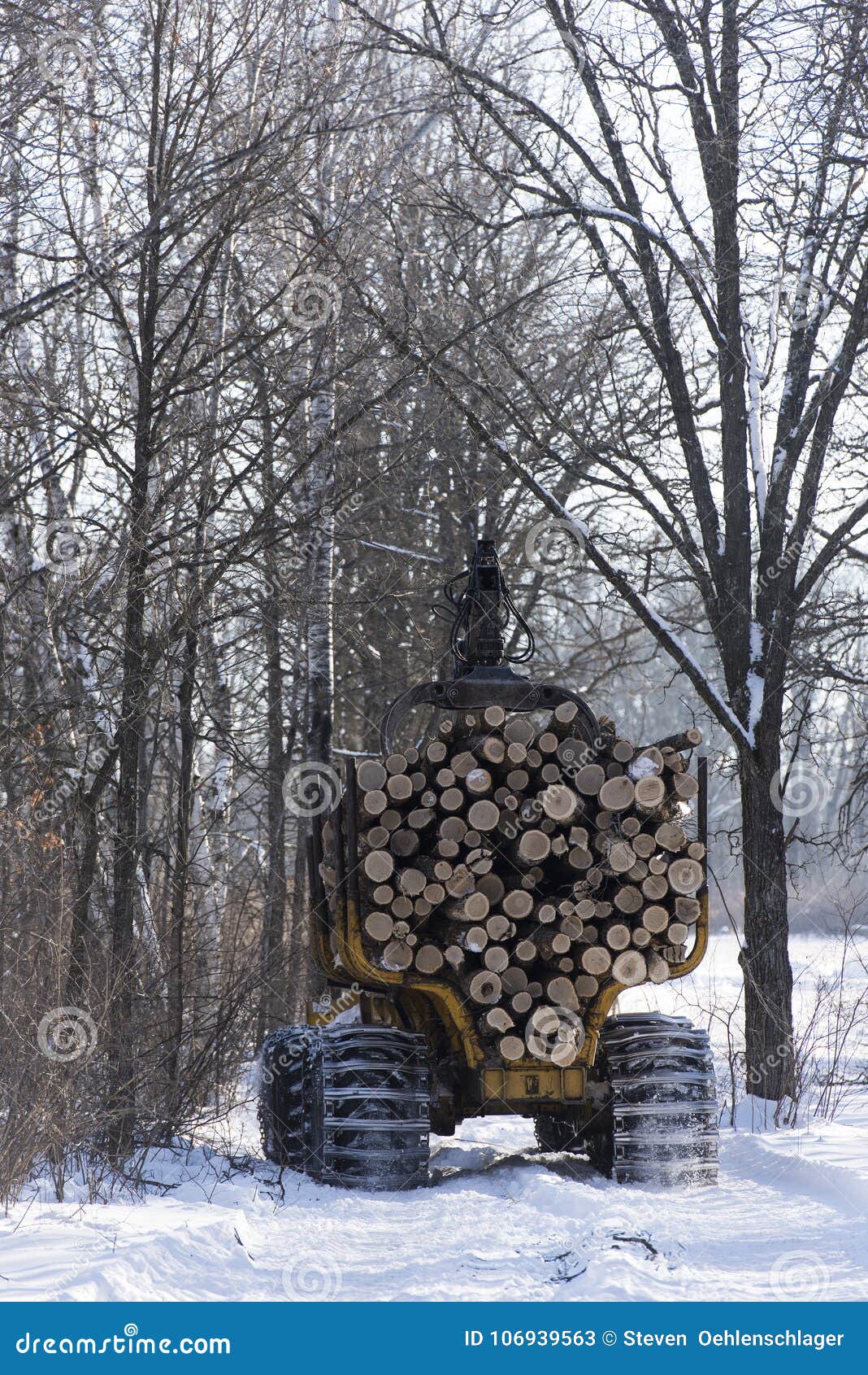 Logging in a Central Minnesota Forest Stock Image - Image of products ...