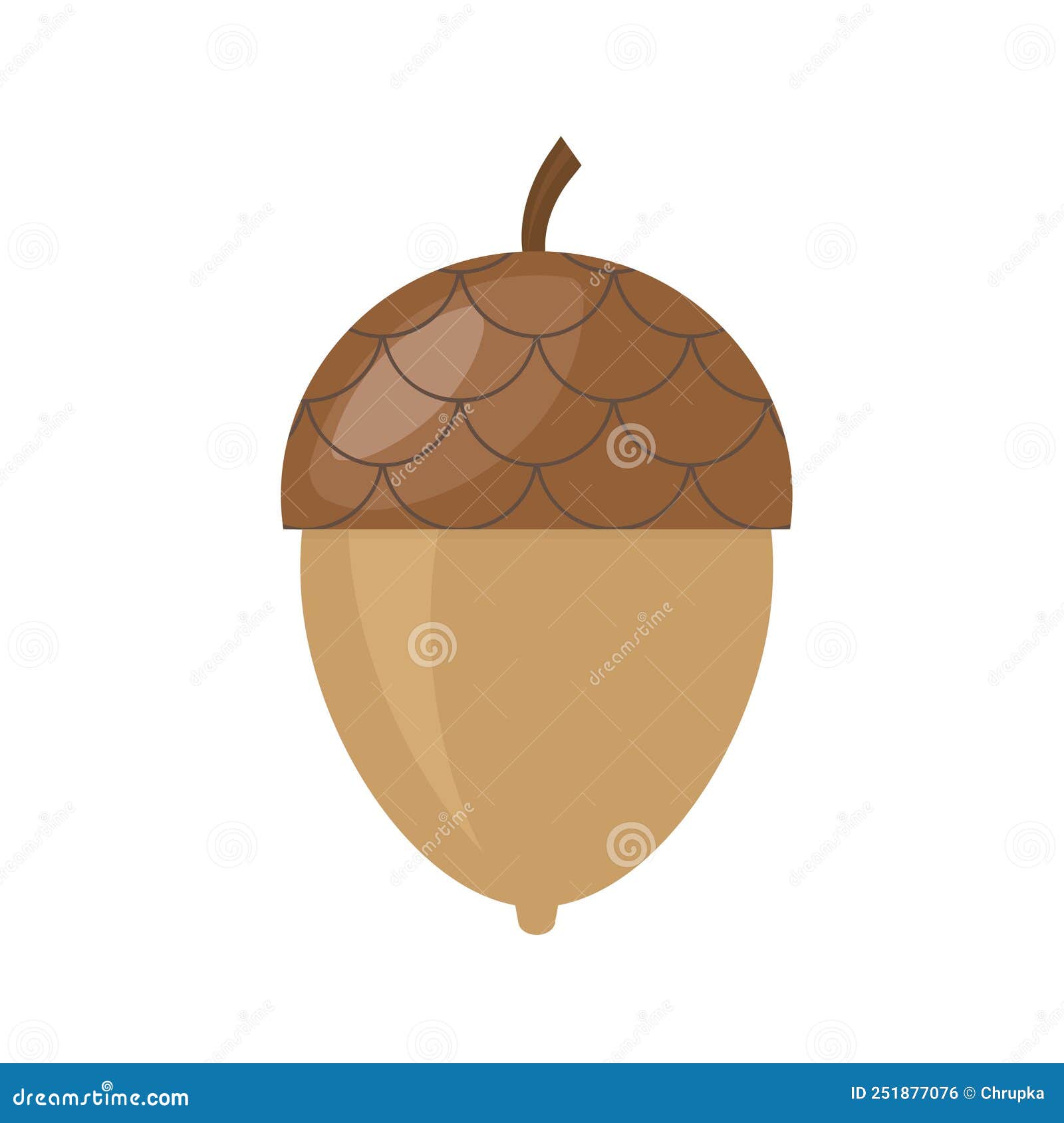 Oak nut, acron icon stock vector. Illustration of decoration - 251877076