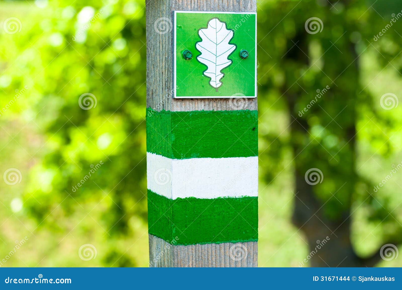Oak park sign stock photo. Image of safe, marking, protect - 31671444