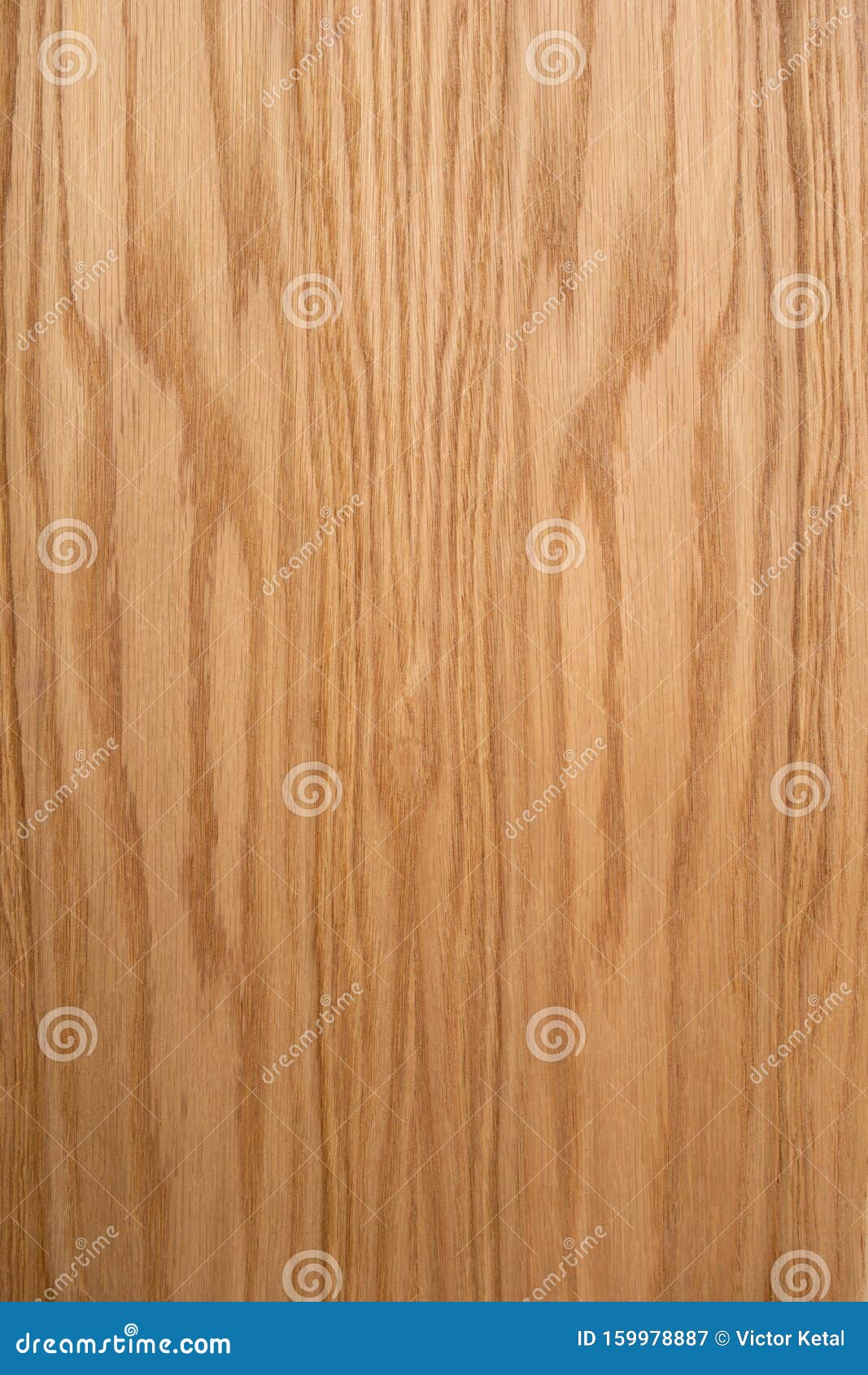 Oak Plank. the Structure of Natural Oak. a Tangential Cut of a Tree ...