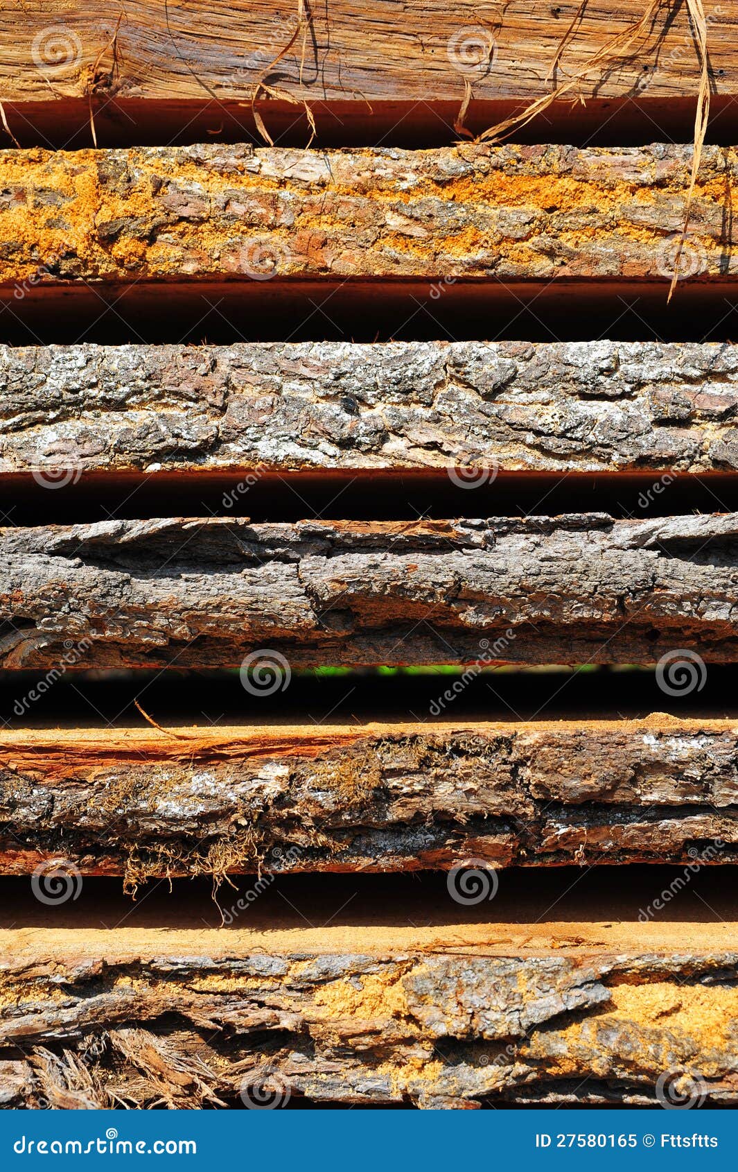 Oak planks stock image. Image of planks, resources, lumberyard - 27580165