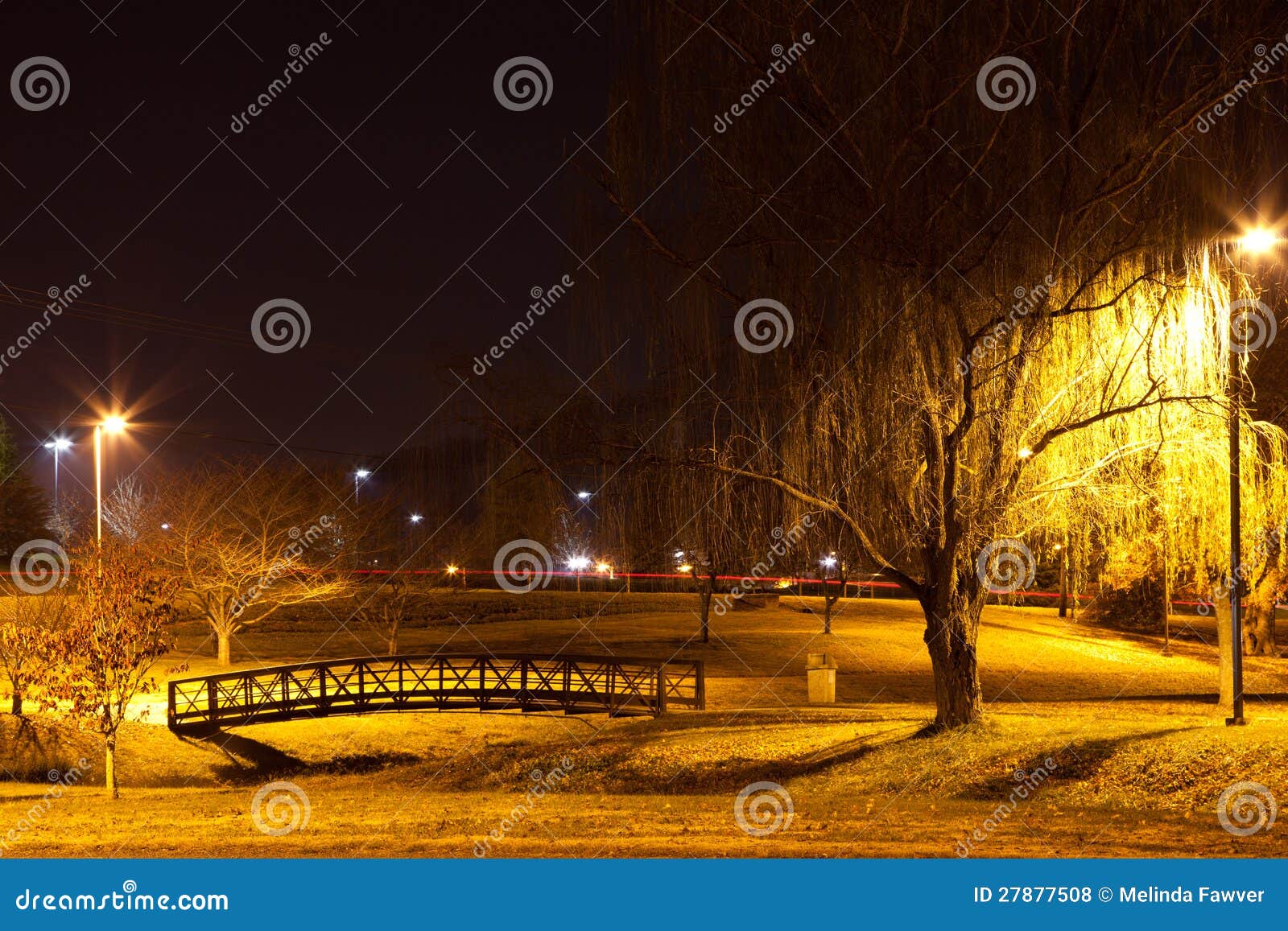 Oak Ridge stock photo. Image of greenway, long, yellow - 27877508