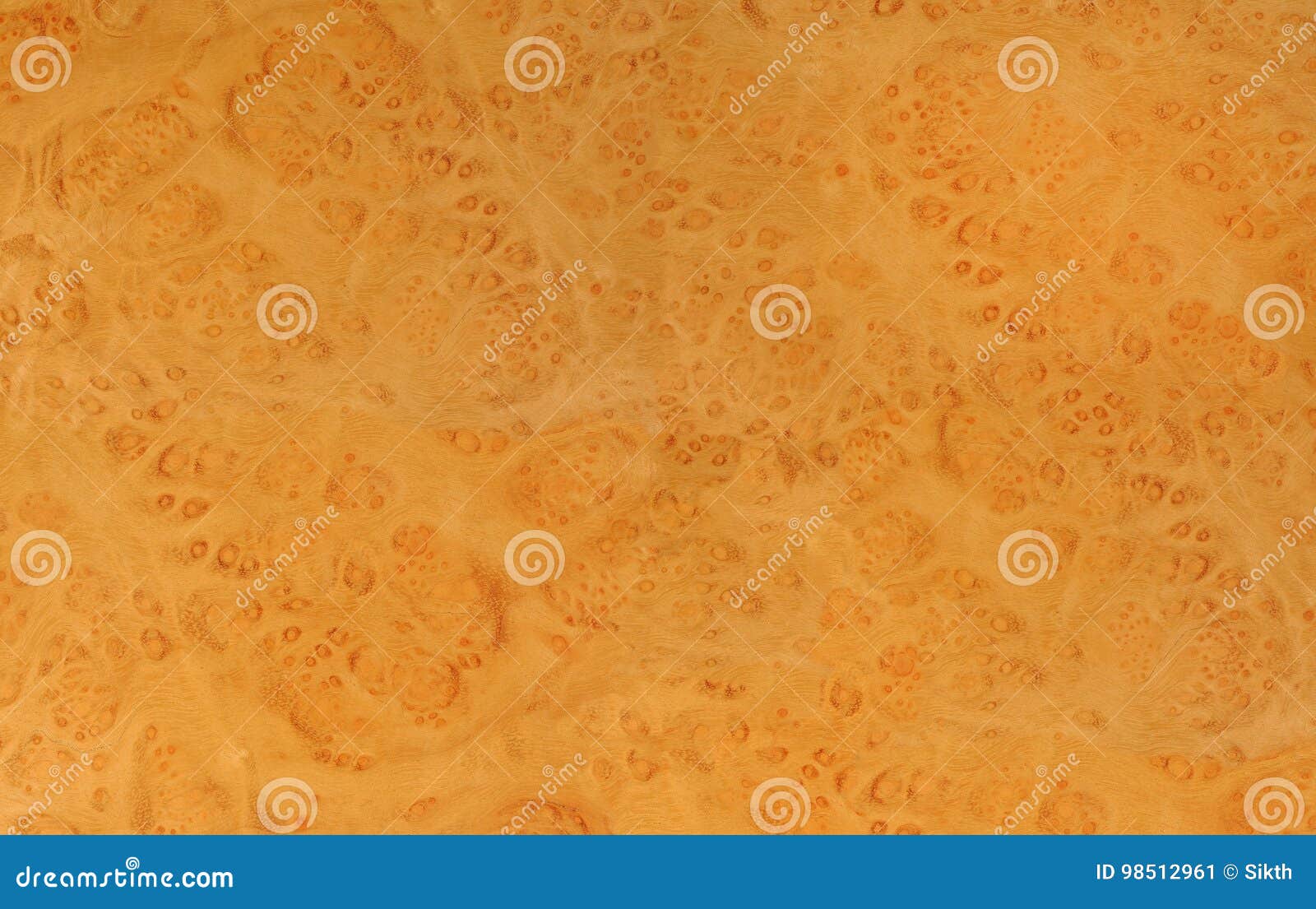 Root Texture Royalty-Free Stock Photo | CartoonDealer.com #43581243