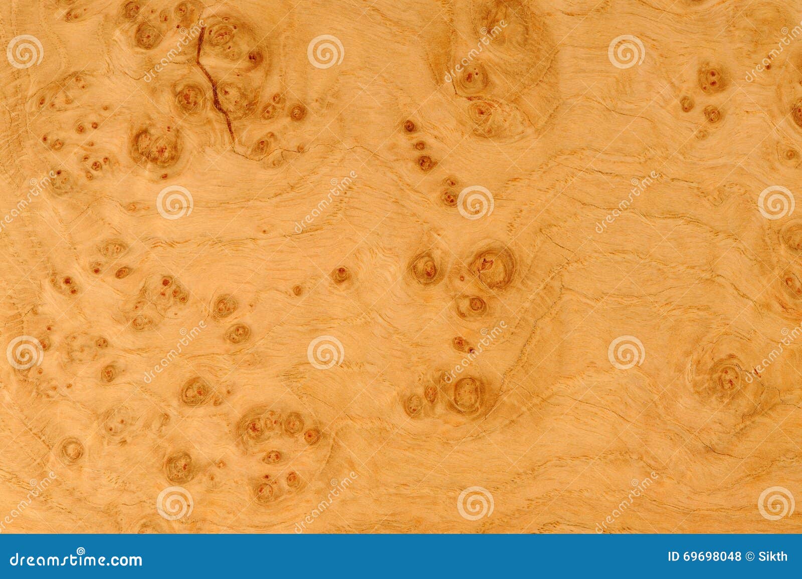 Root Texture Royalty-Free Stock Photo | CartoonDealer.com #43581243