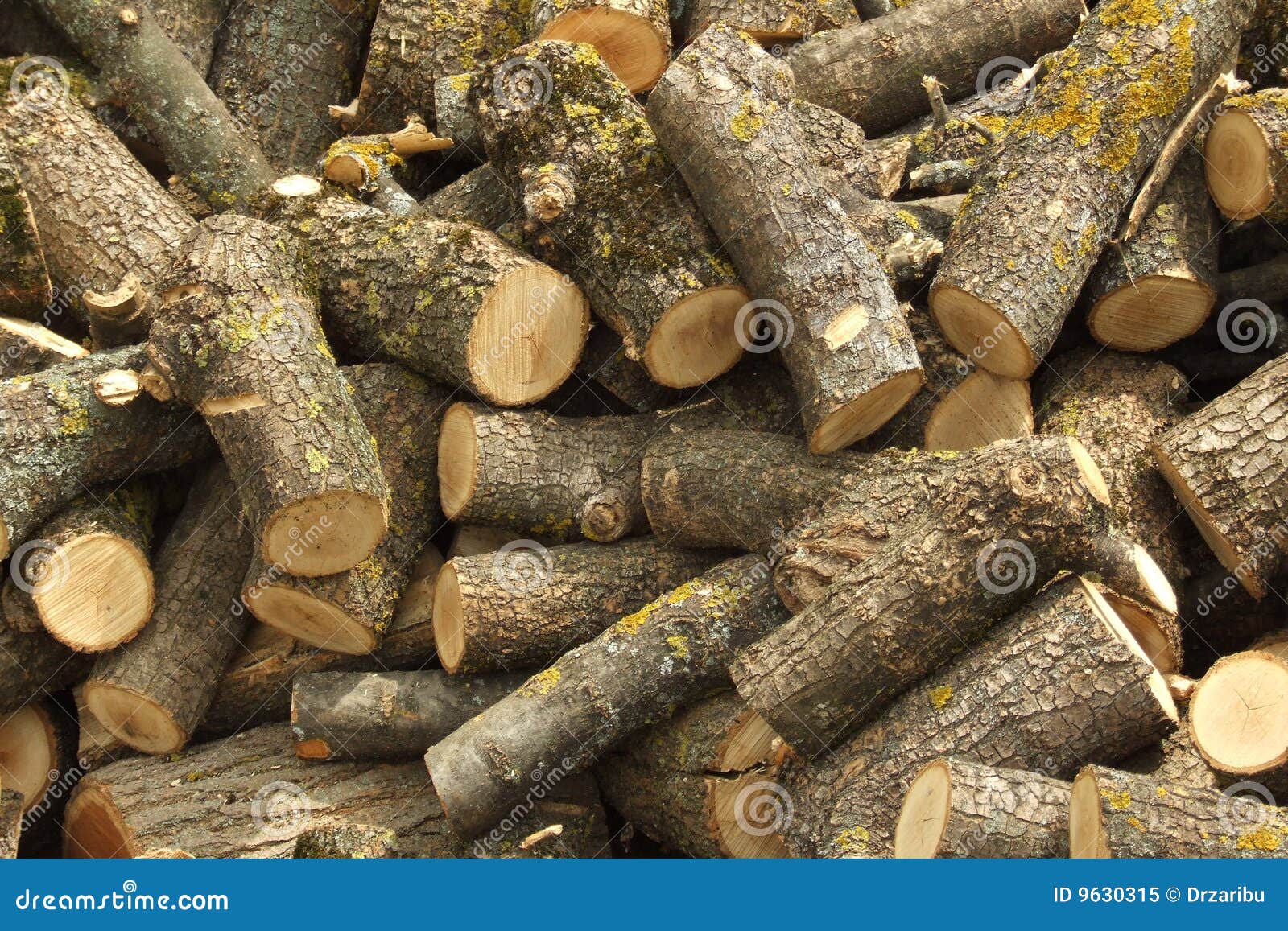 Oak round logs stock image. Image of wood, farm, piece - 9630315