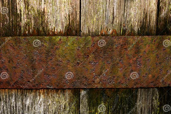 Oak and Rust stock photo. Image of craftsmanship, scotch - 290340