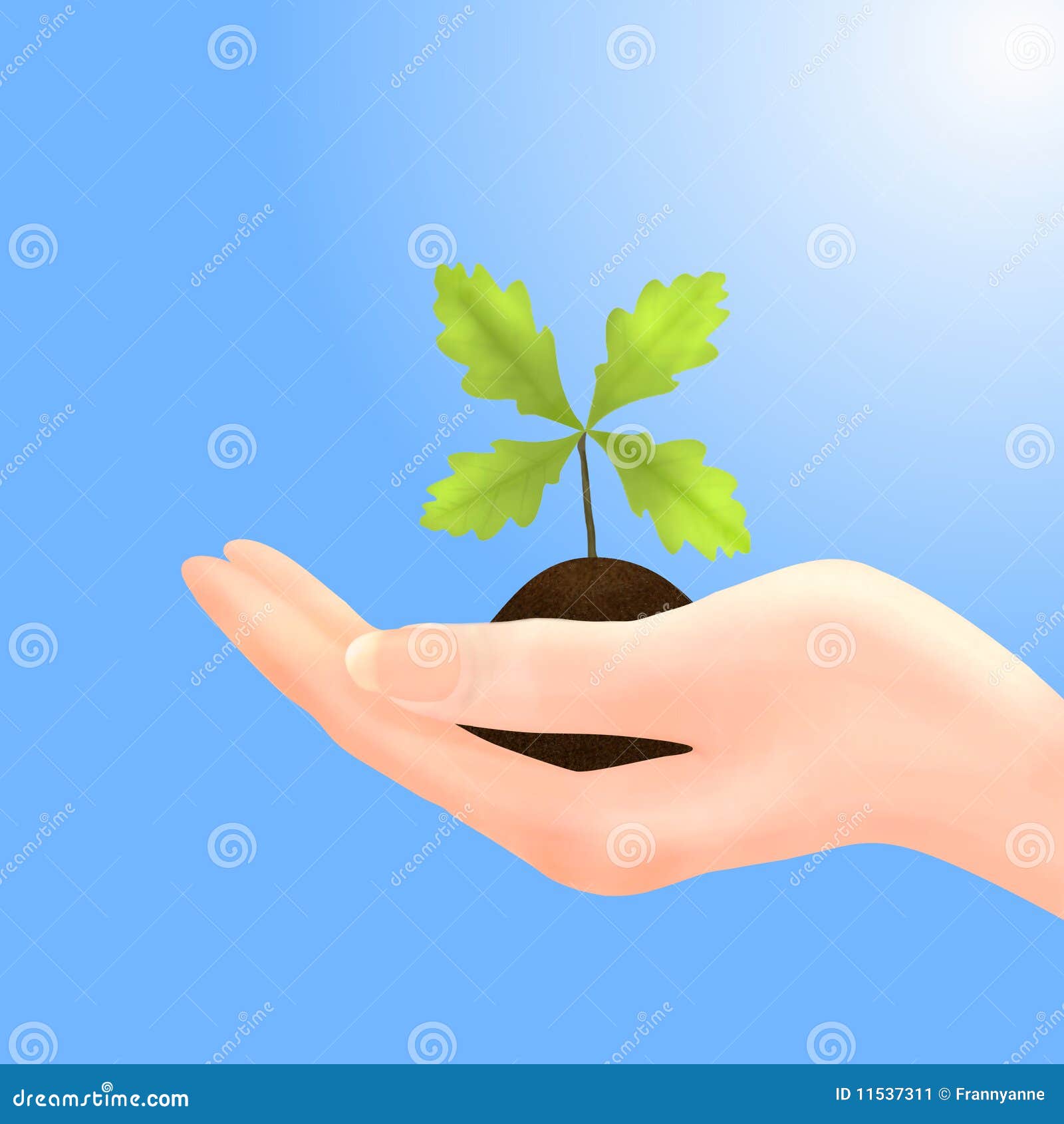 Oak Sapling in Hand with Blue Sky Stock Illustration - Illustration of ...