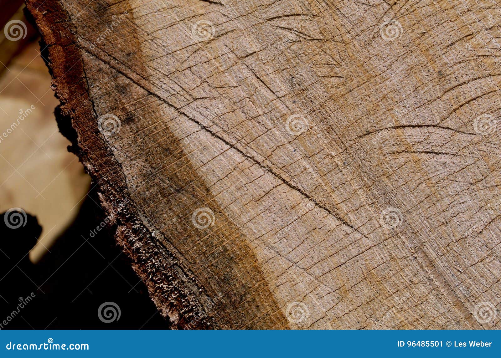 Oak Section with Grooves stock image. Image of crease - 96485501