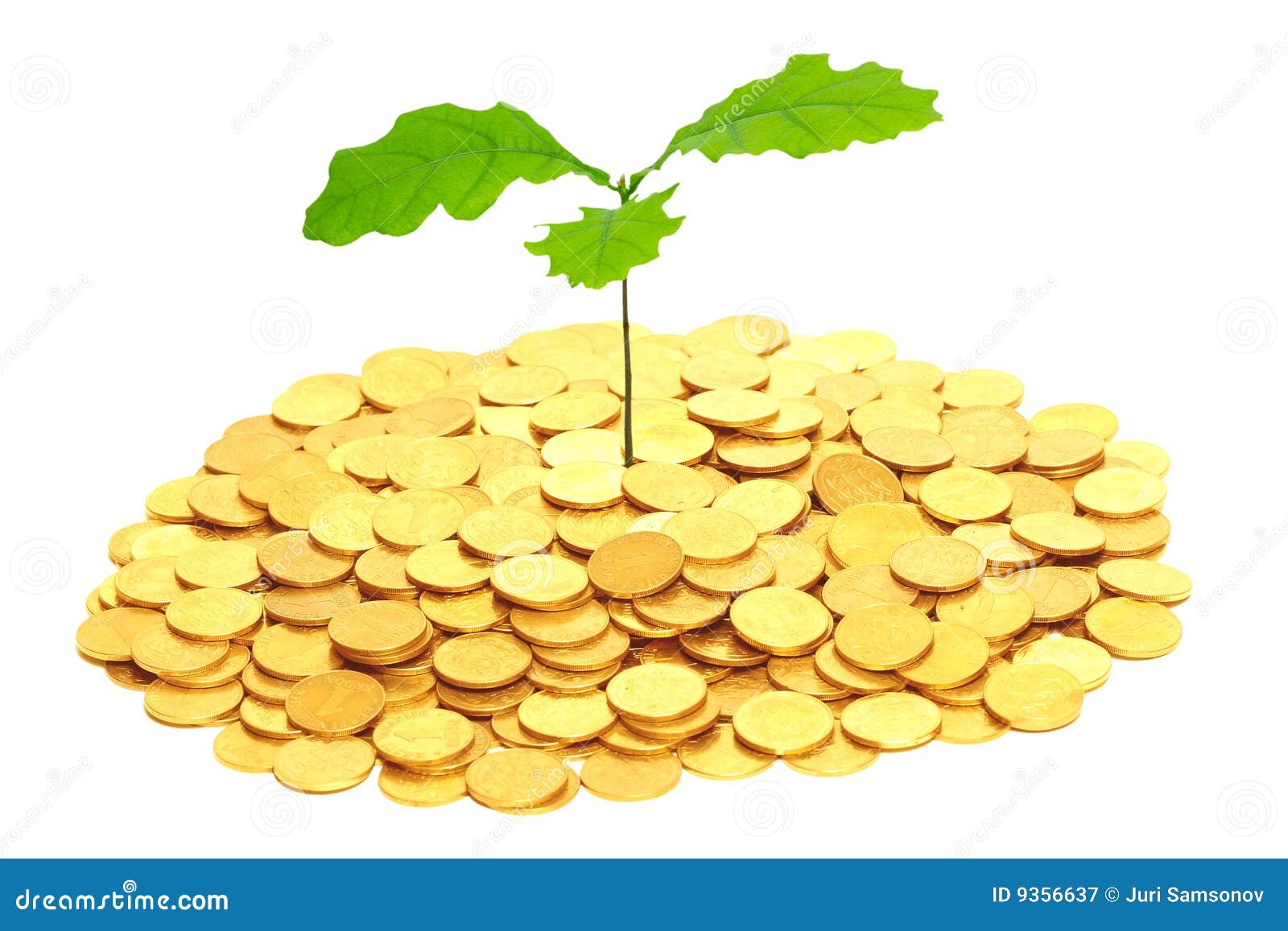 Oak Sprout Grown from Money. Stock Image - Image of earnings, growth ...