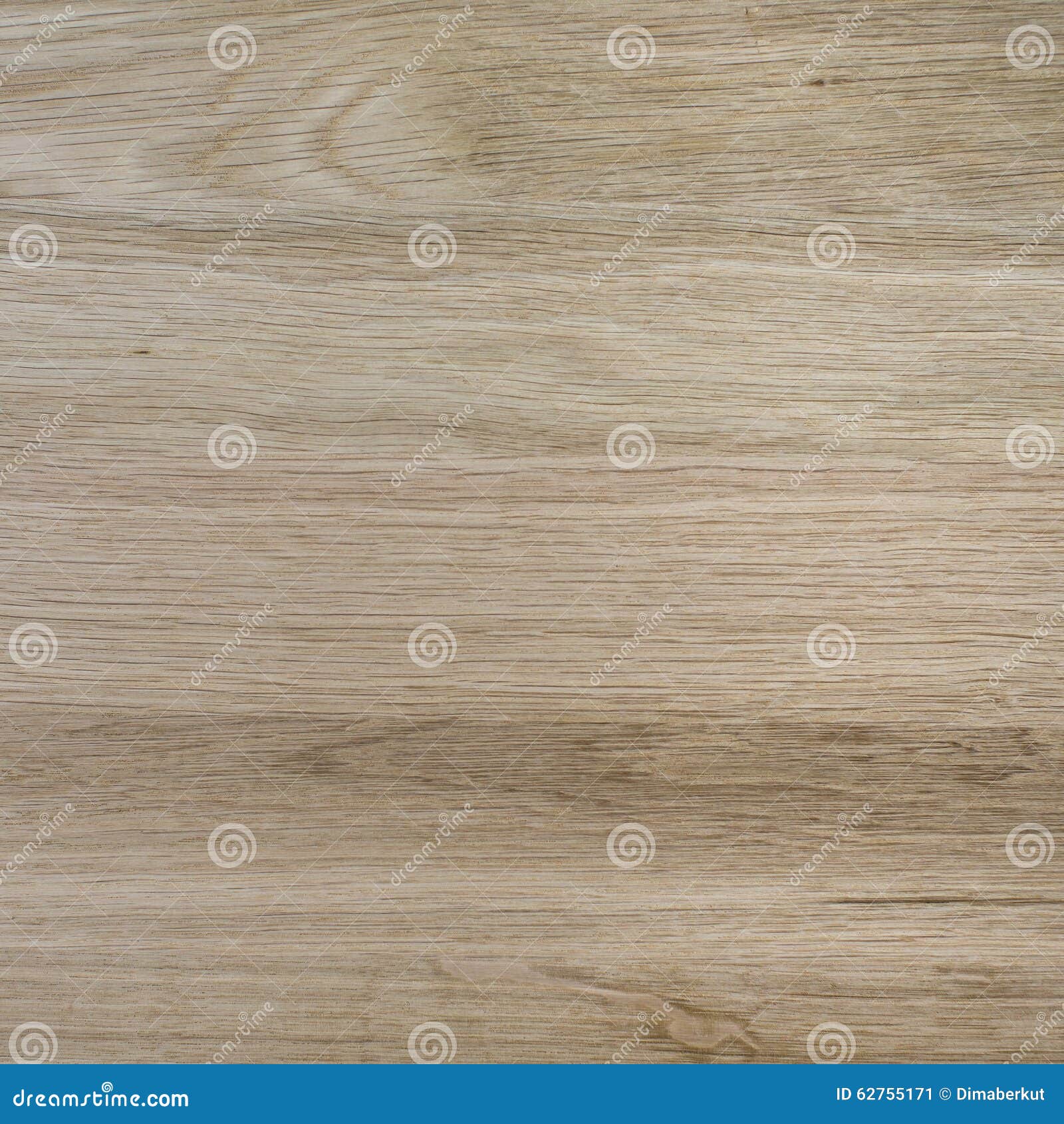 Oak. Texture of Fine Wood. Nature. Stock Image - Image of border, rural ...