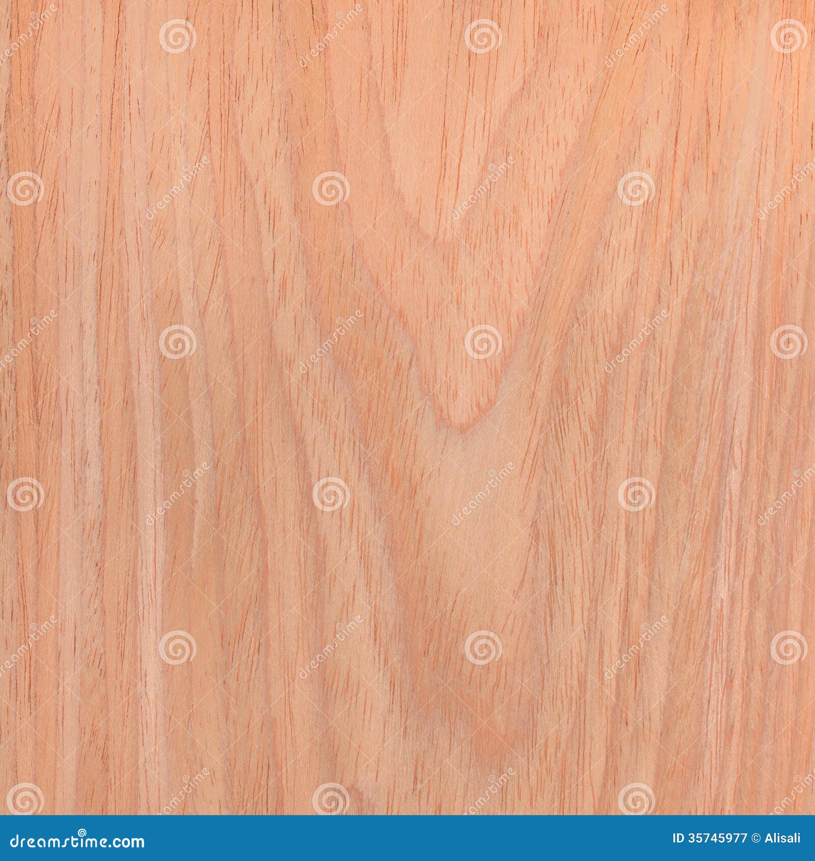 Oak Texture Wood, Natural Tree Background Stock Image - Image of ...