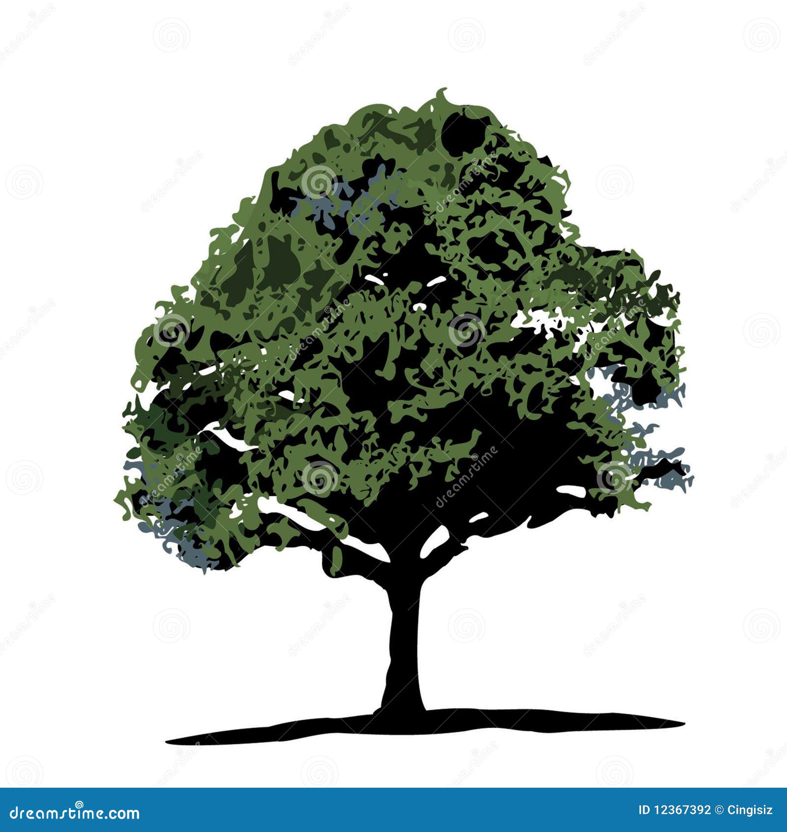 An Oak Tree Vector Illustration | CartoonDealer.com #12367392