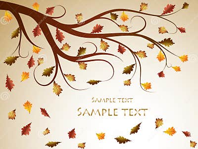 Oak tree stock vector. Illustration of frame, nature - 16587562