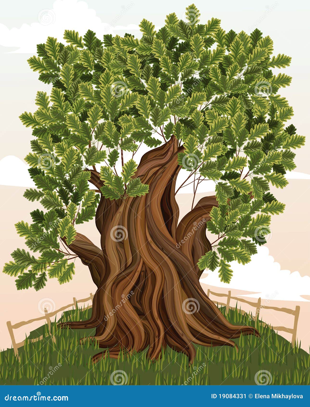 Oak tree stock vector. Illustration of composition, foliage - 19084331