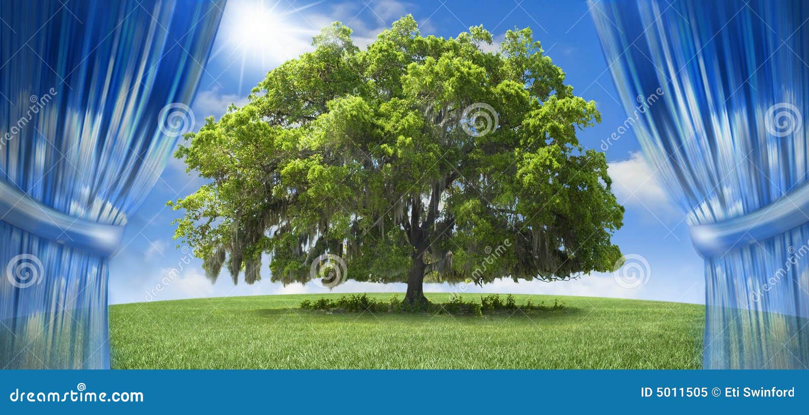 Tree Status Stock Illustrations – 331 Tree Status Stock Illustrations ...