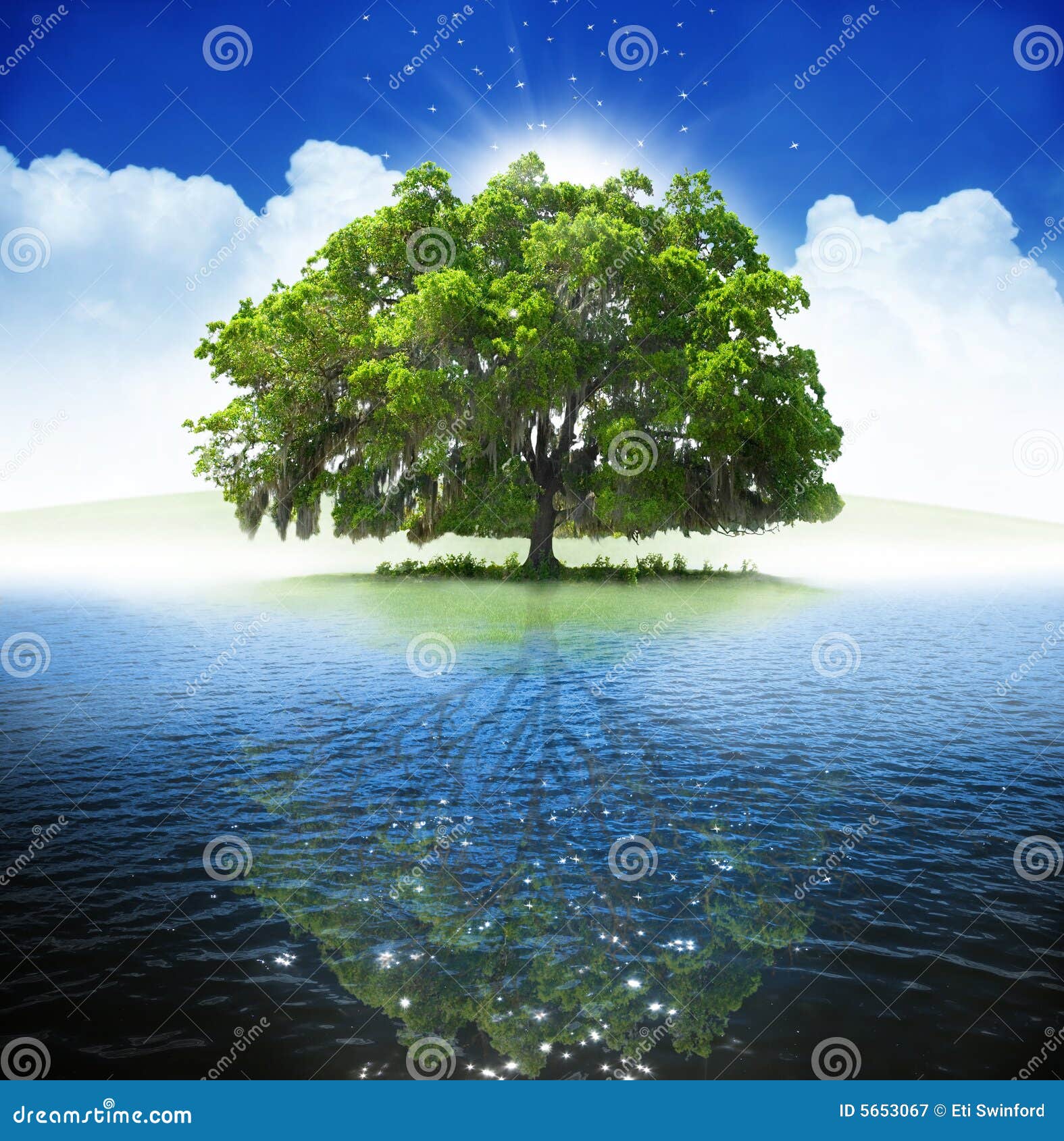 Old Tree In Water With Green Algae, Leaves Of A Water Lily With Yellow ...