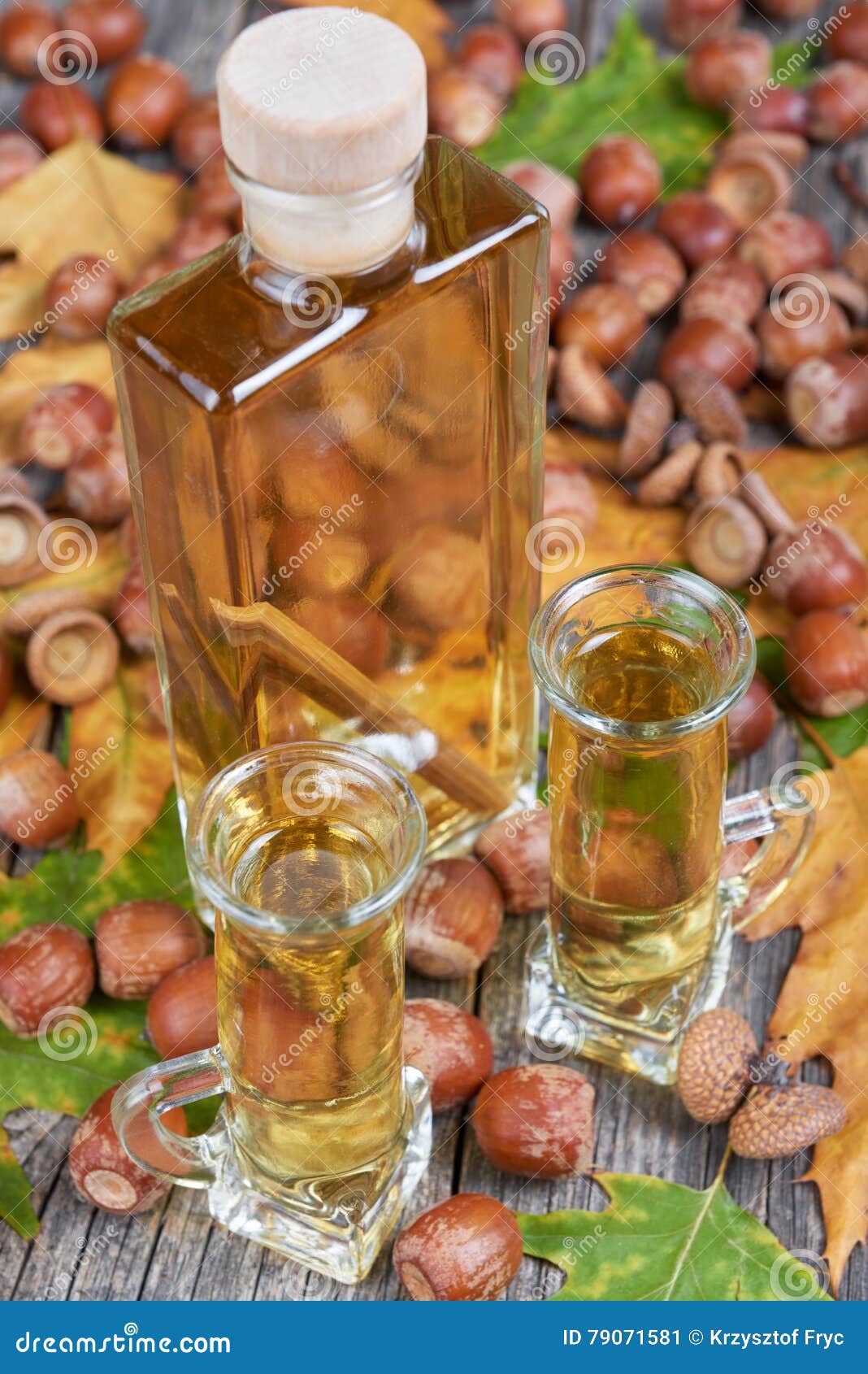 Oak tree alcohol stock image. Image of healthy, branch - 79071581