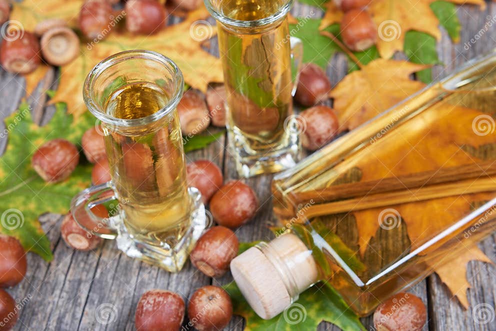 Oak tree alcohol stock photo. Image of liquid, cocktail - 79071622