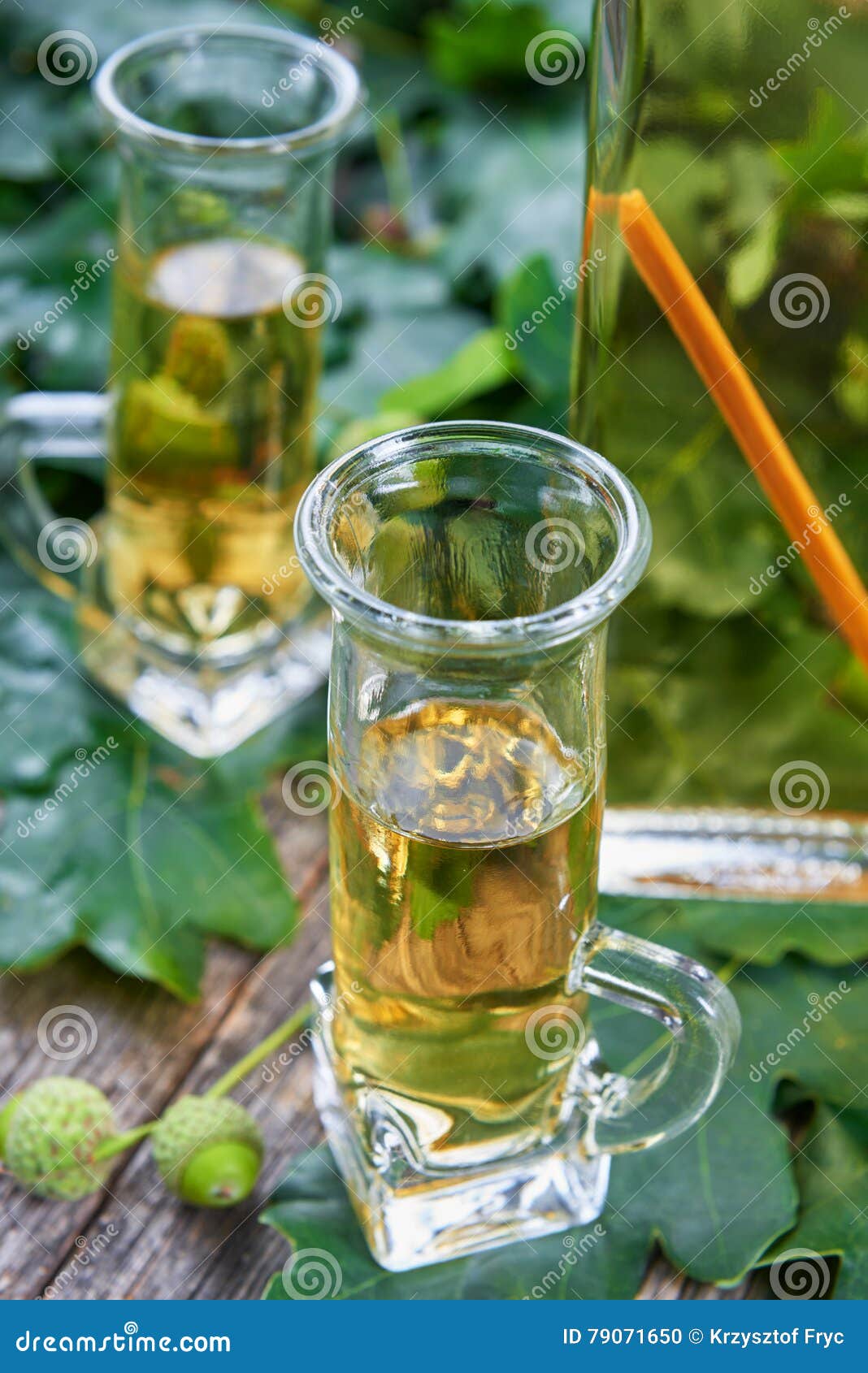 Oak tree alcohol stock photo. Image of acorn, leaf, brown - 79071650