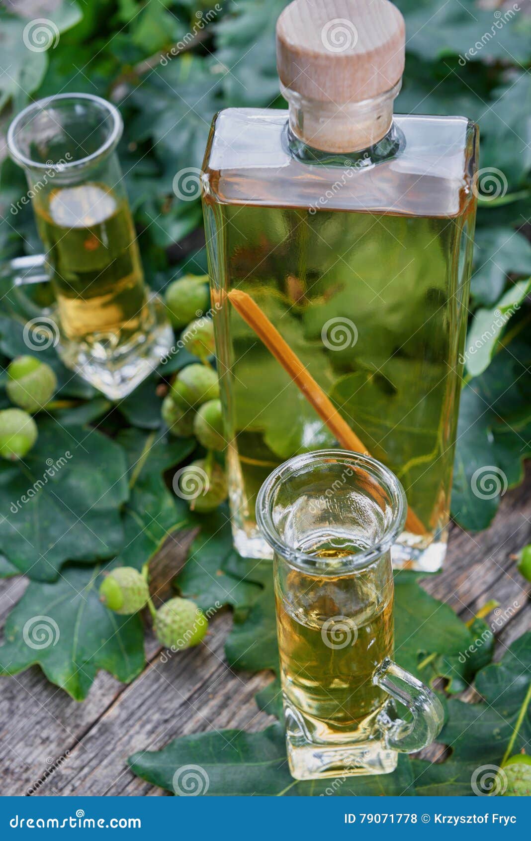 Oak tree alcohol stock photo. Image of acorn, liquer - 79071778