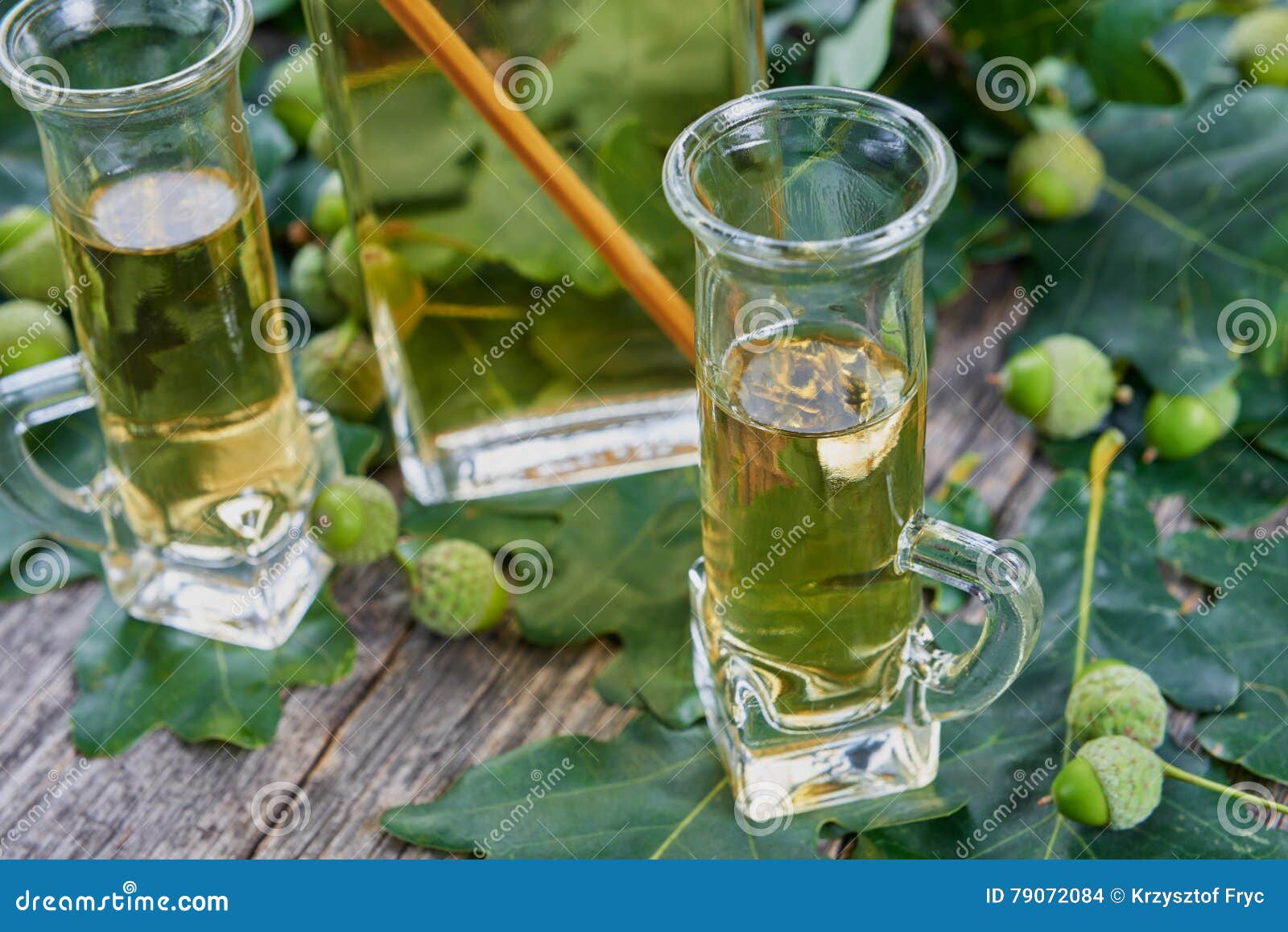 Oak tree alcohol stock photo. Image of botanic, liquid - 79072084