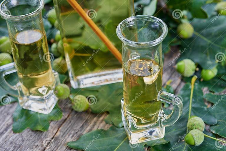 Oak tree alcohol stock photo. Image of botanic, liquid - 79072084