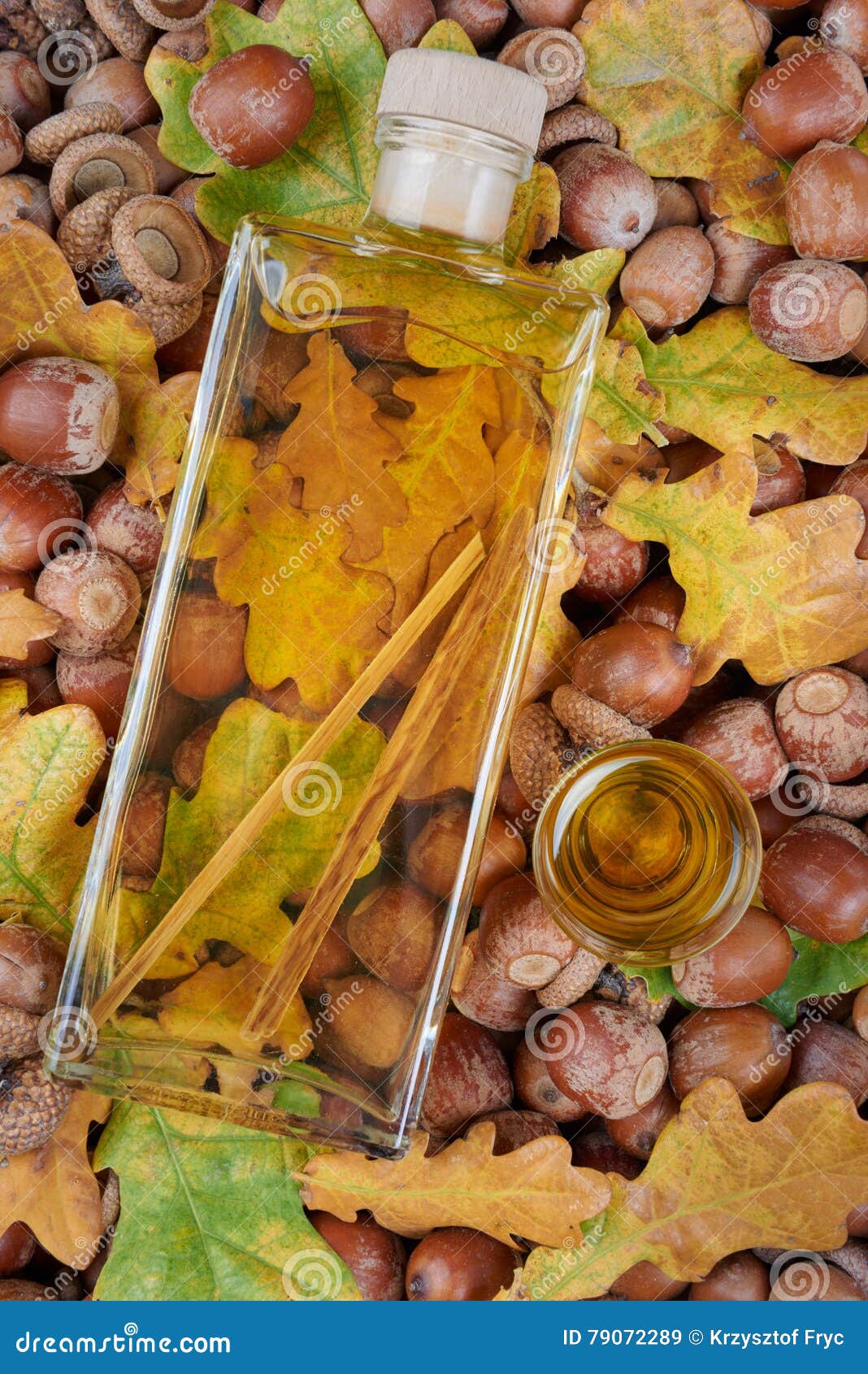 Oak tree alcohol stock image. Image of brown, acorn, alcohol - 79072289