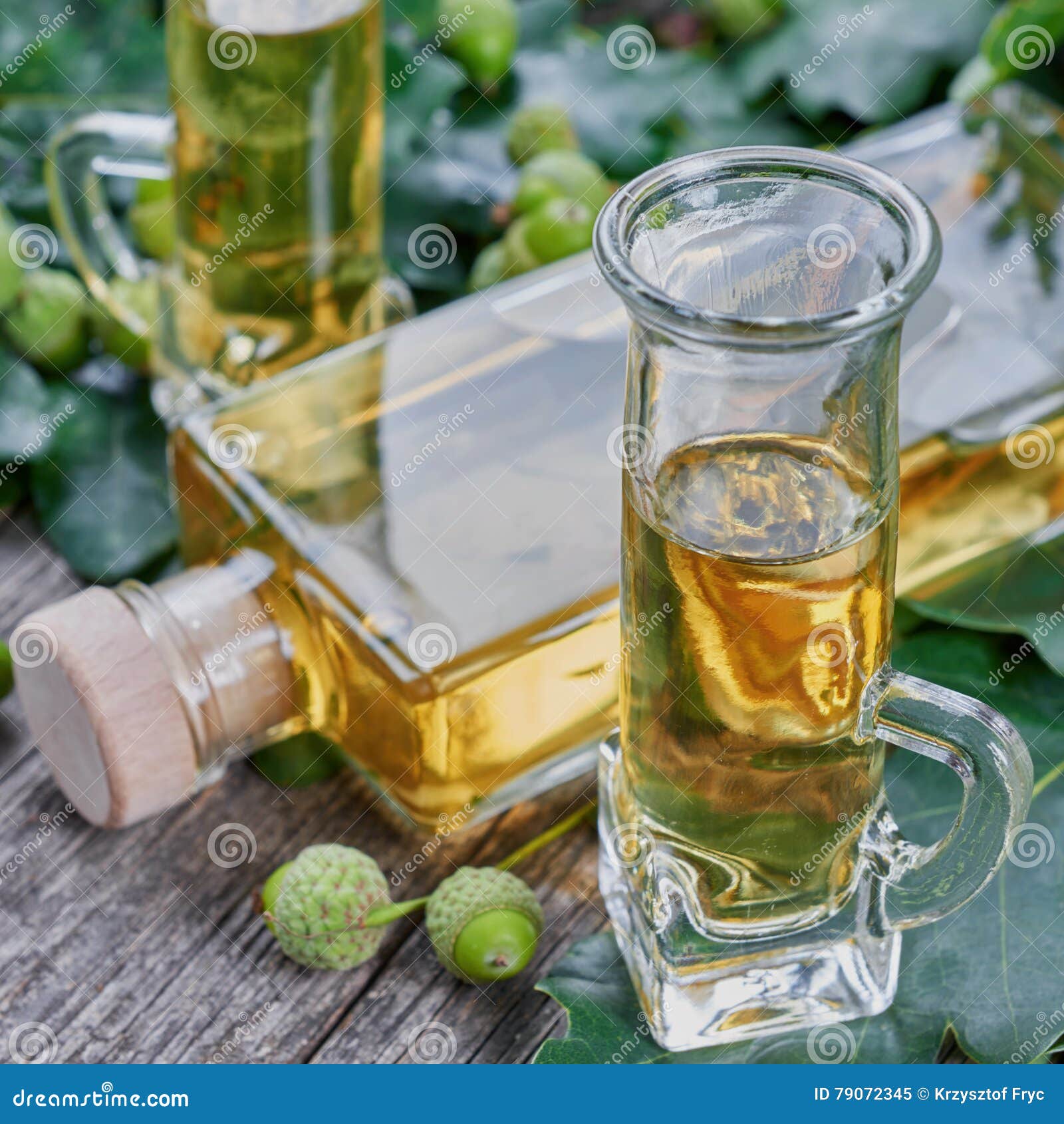 Oak tree alcohol stock image. Image of liquer, liquor - 79072345