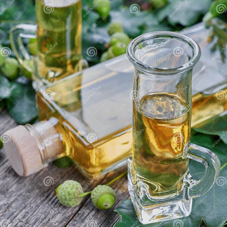 Oak tree alcohol stock image. Image of liquer, liquor - 79072345