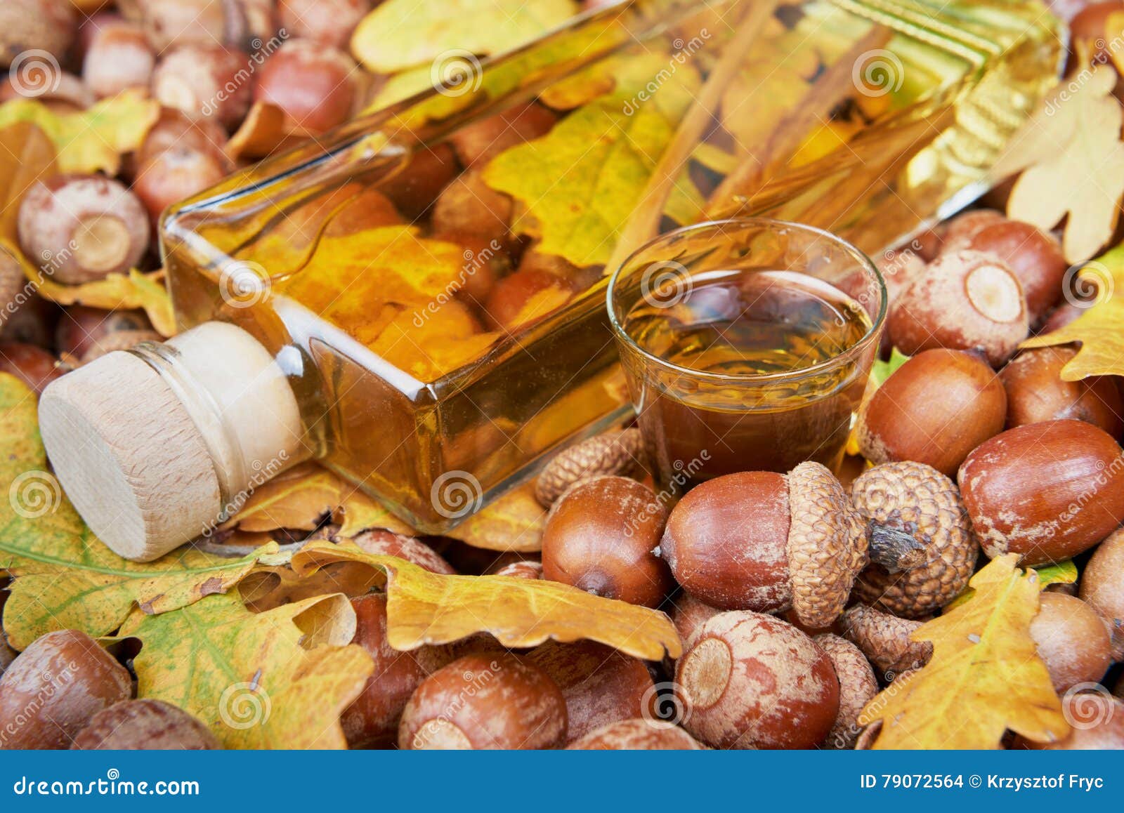 Oak tree alcohol stock photo. Image of fresh, bark, brown - 79072564