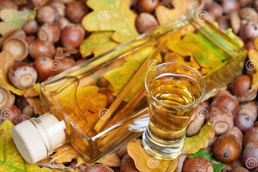 Oak tree alcohol stock photo. Image of liquor, fall, gourmet - 79118340
