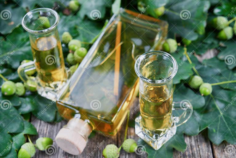 Oak tree alcohol stock image. Image of freshness, foliage - 79118689