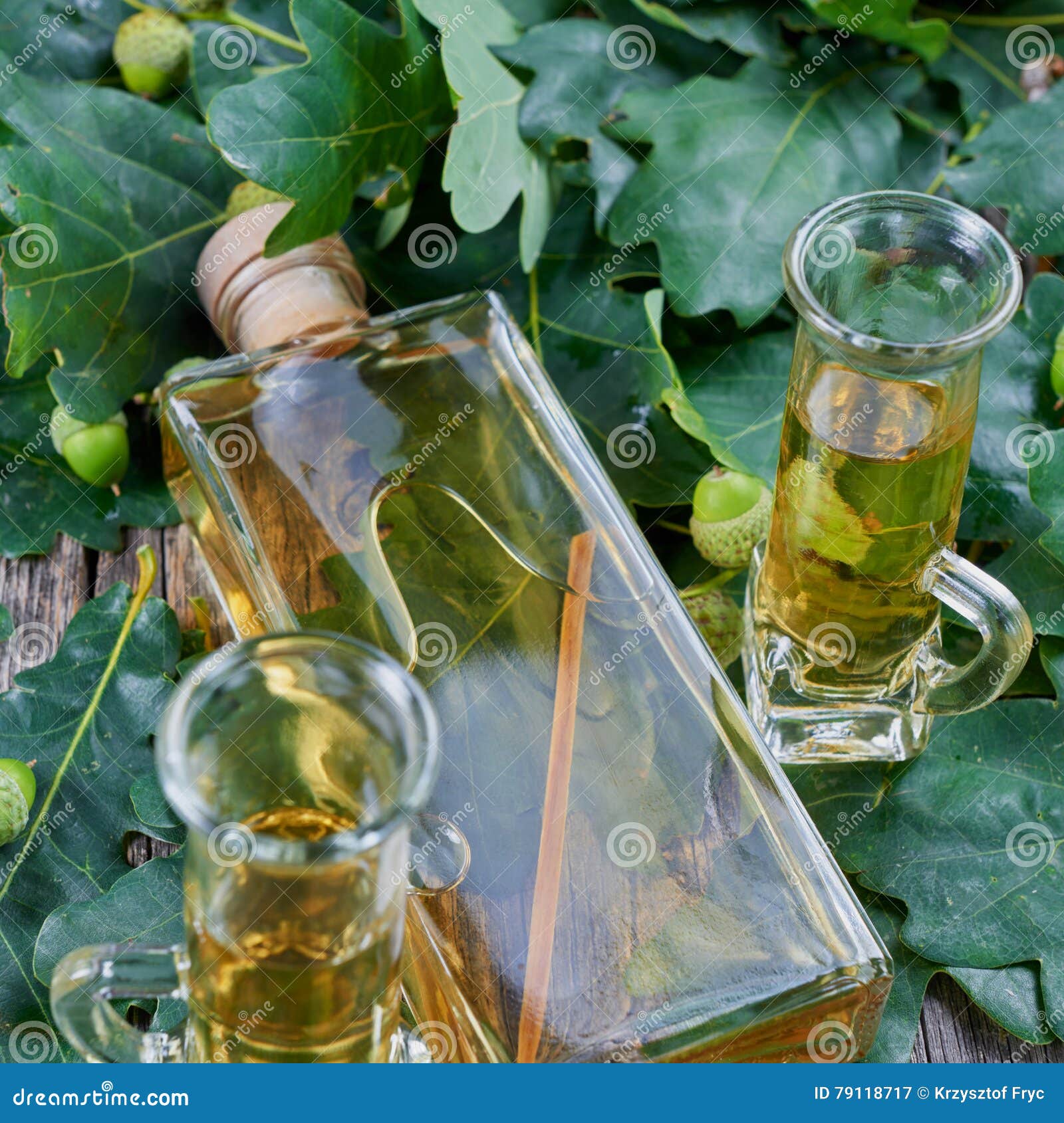 Oak tree alcohol stock image. Image of healthy, autumn - 79118717