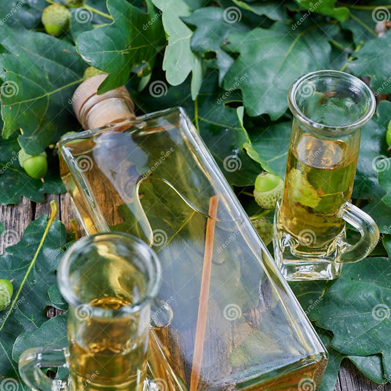 Oak tree alcohol stock image. Image of healthy, autumn - 79118717