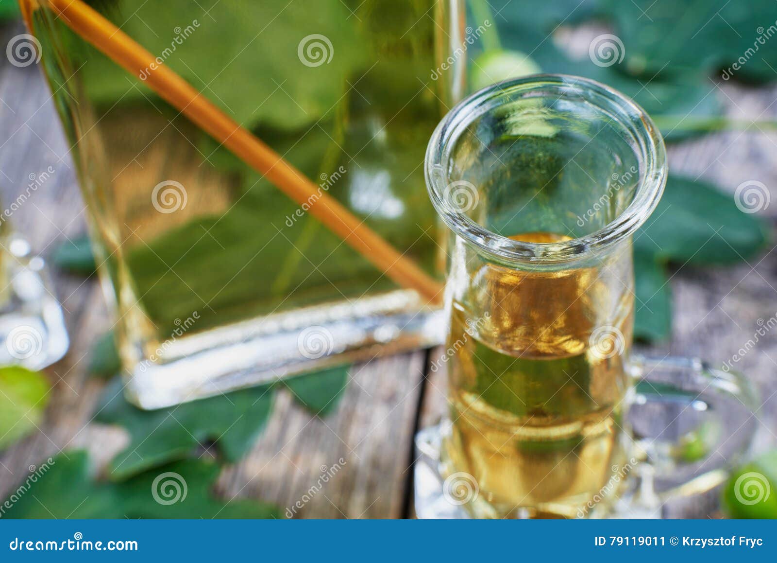 Oak tree alcohol stock image. Image of liqueur, autumn - 79119011