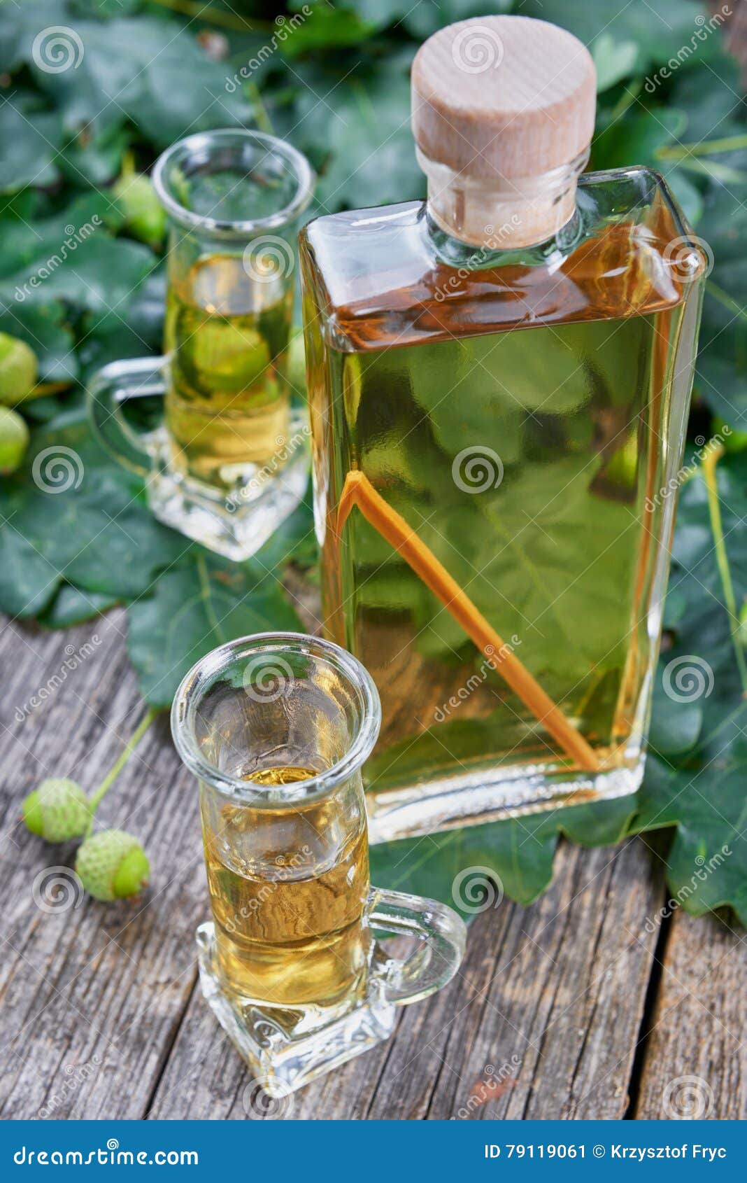 Oak tree alcohol stock image. Image of foliage, fruit - 79119061