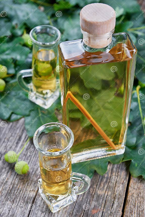Oak tree alcohol stock image. Image of foliage, fruit - 79119061