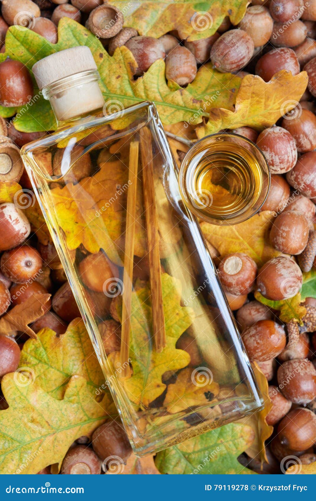 Oak tree alcohol stock photo. Image of group, fresh, freshness - 79119278