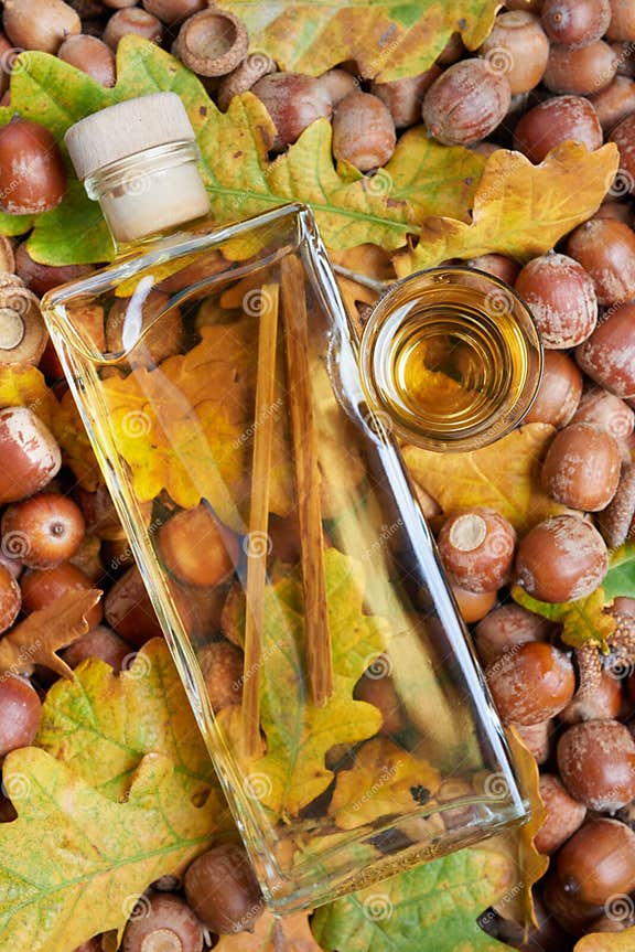 Oak tree alcohol stock photo. Image of group, fresh, freshness - 79119278