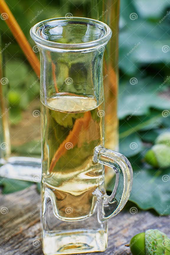 Oak tree alcohol stock photo. Image of liquid, group - 79119538