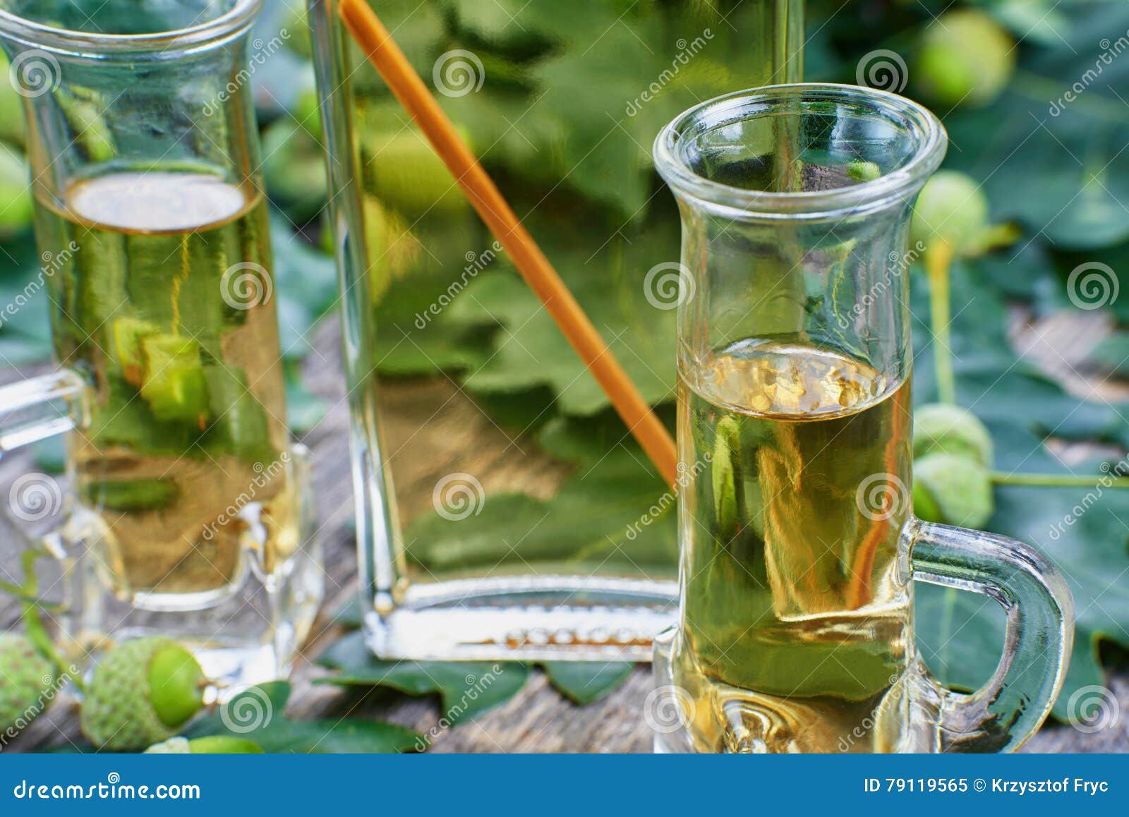 Oak tree alcohol stock image. Image of bark, foliage - 79119565