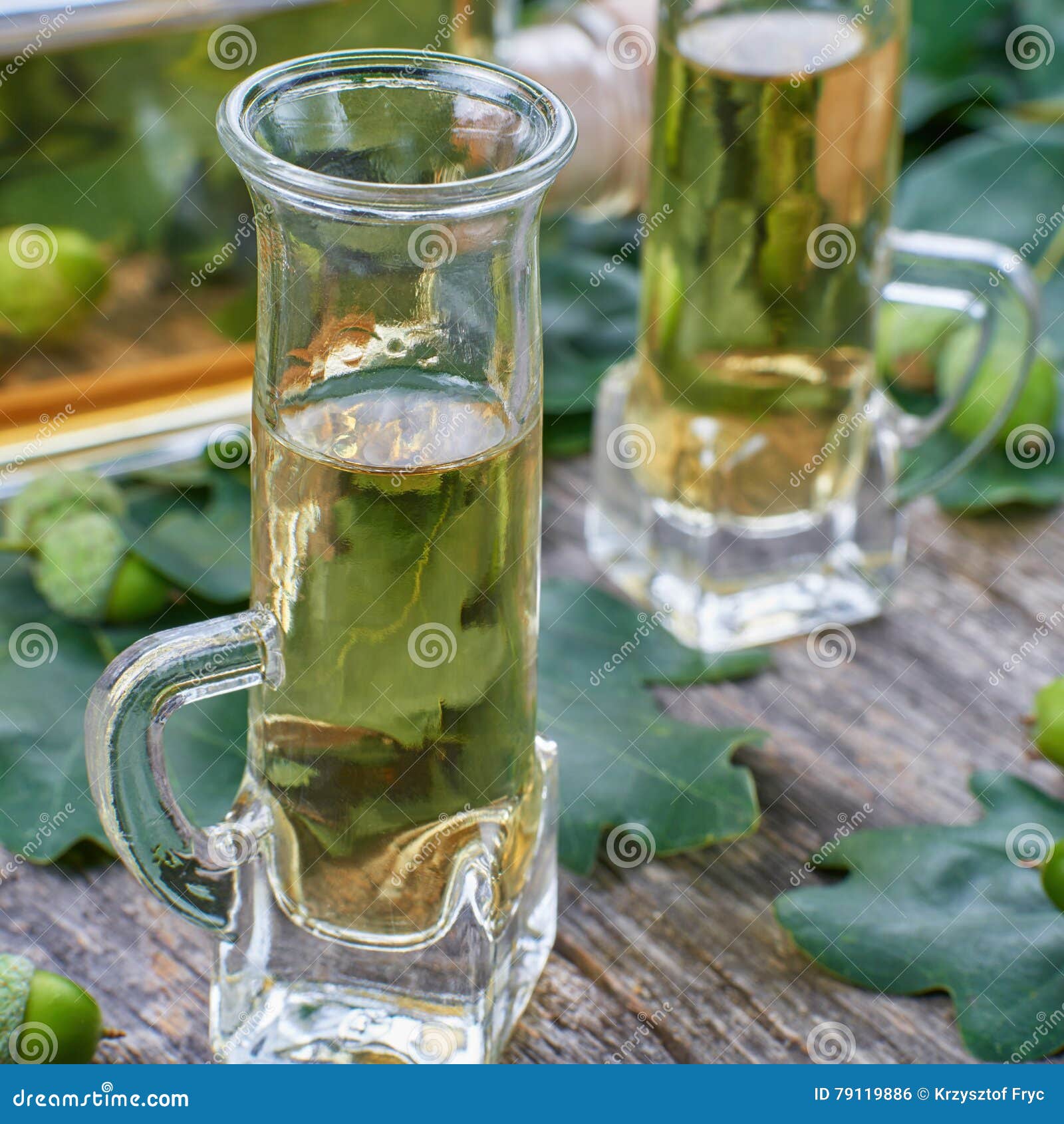 Oak tree alcohol stock photo. Image of forest, liquor - 79119886