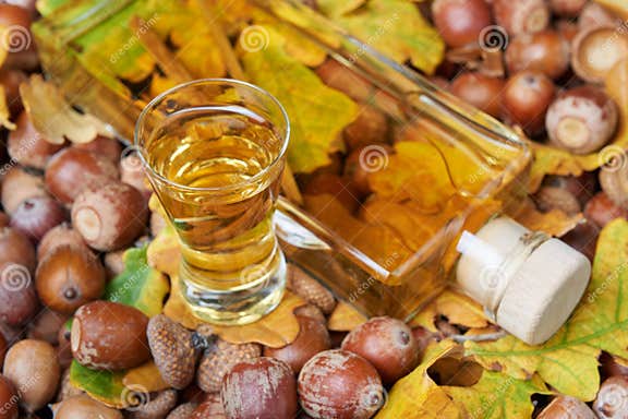 Oak tree alcohol stock image. Image of liquor, agriculture - 79119913