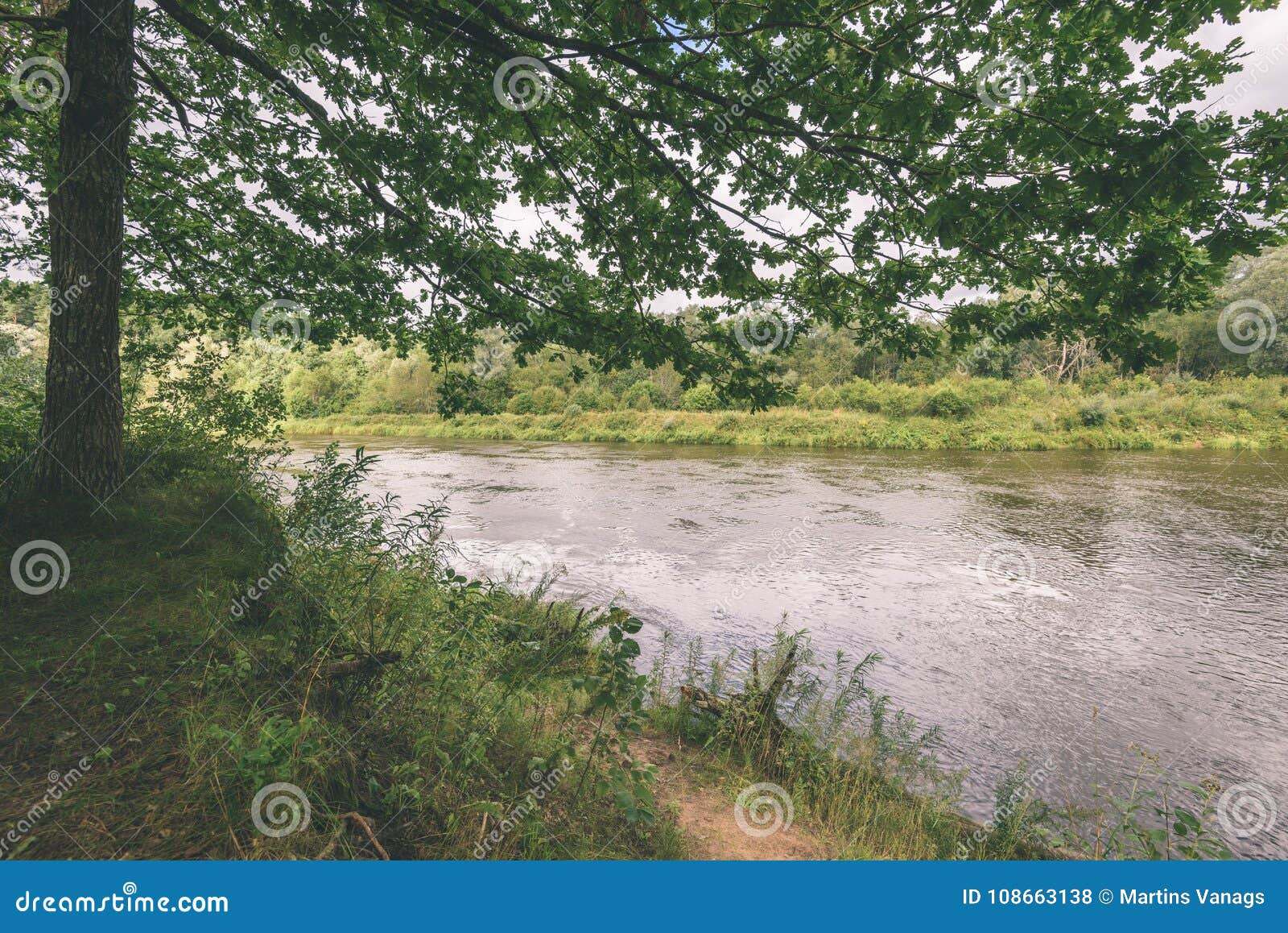 Oak Tree Branches Over Summer River - Vintage Effect Stock Photo ...